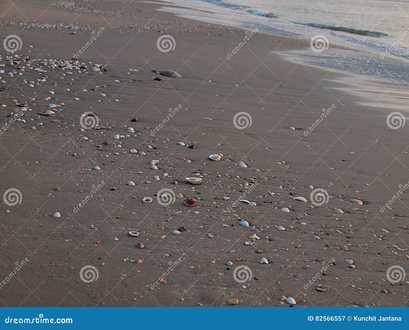 Beautiful sand beach stock image. Image of turquoise - 82566557