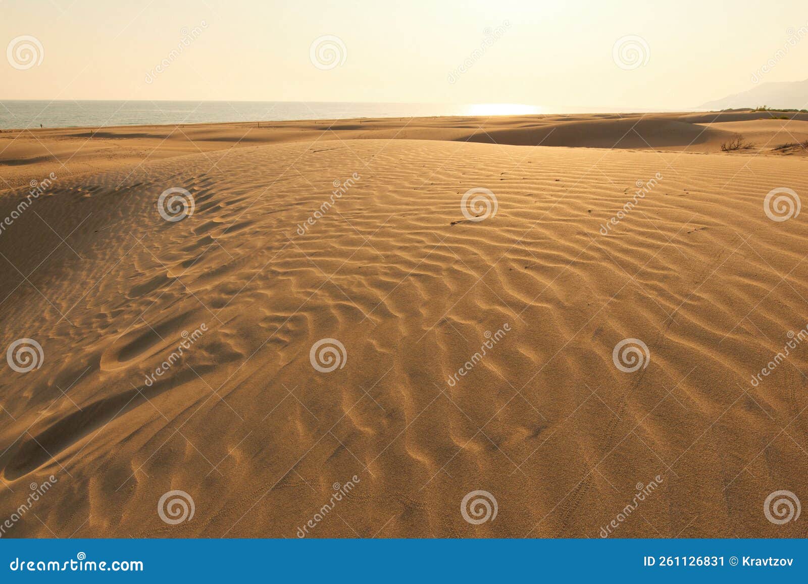 A Beautiful Sand Texture. a Wavy Desert Background Stock Image - Image ...