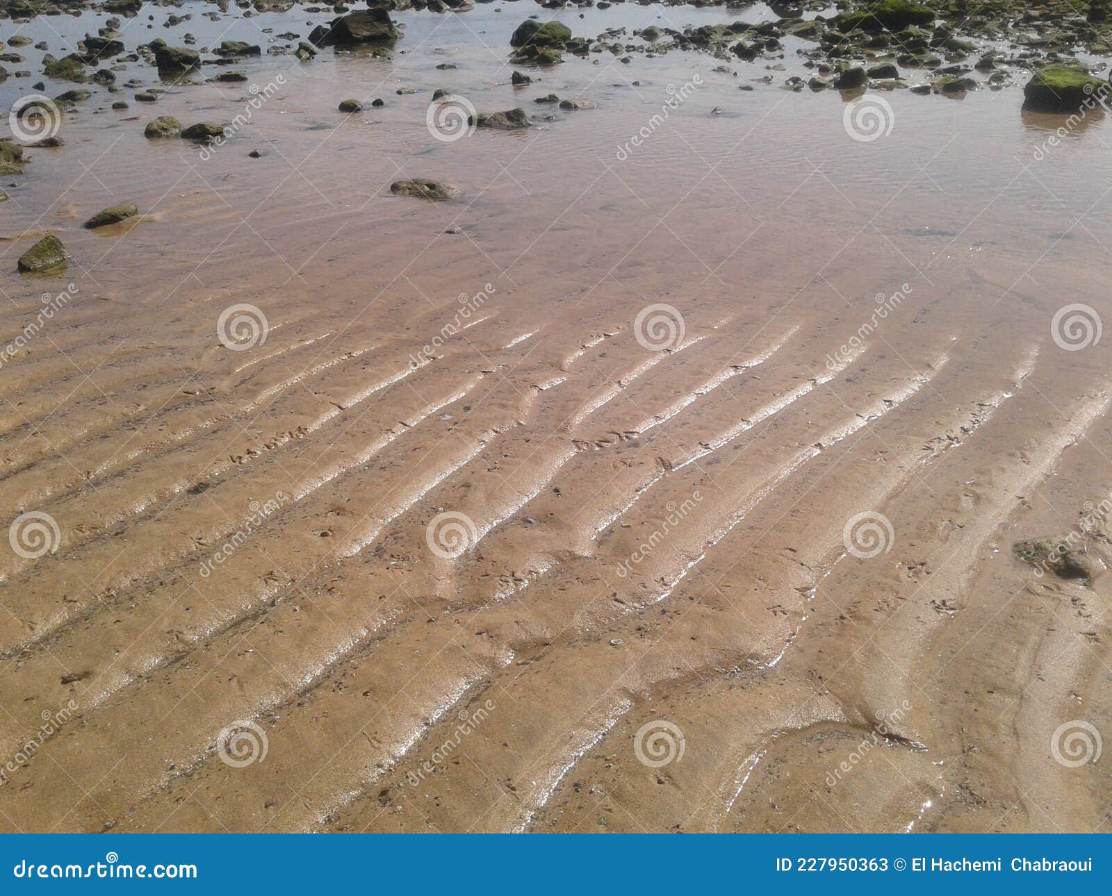 Beautiful Sandy Deposits at Low Tide Stock Image - Image of deposits ...
