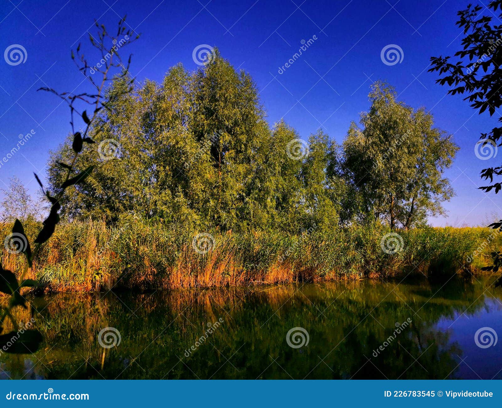 Beautiful Saturated Landscape with Water Reflection Stock Image - Image ...