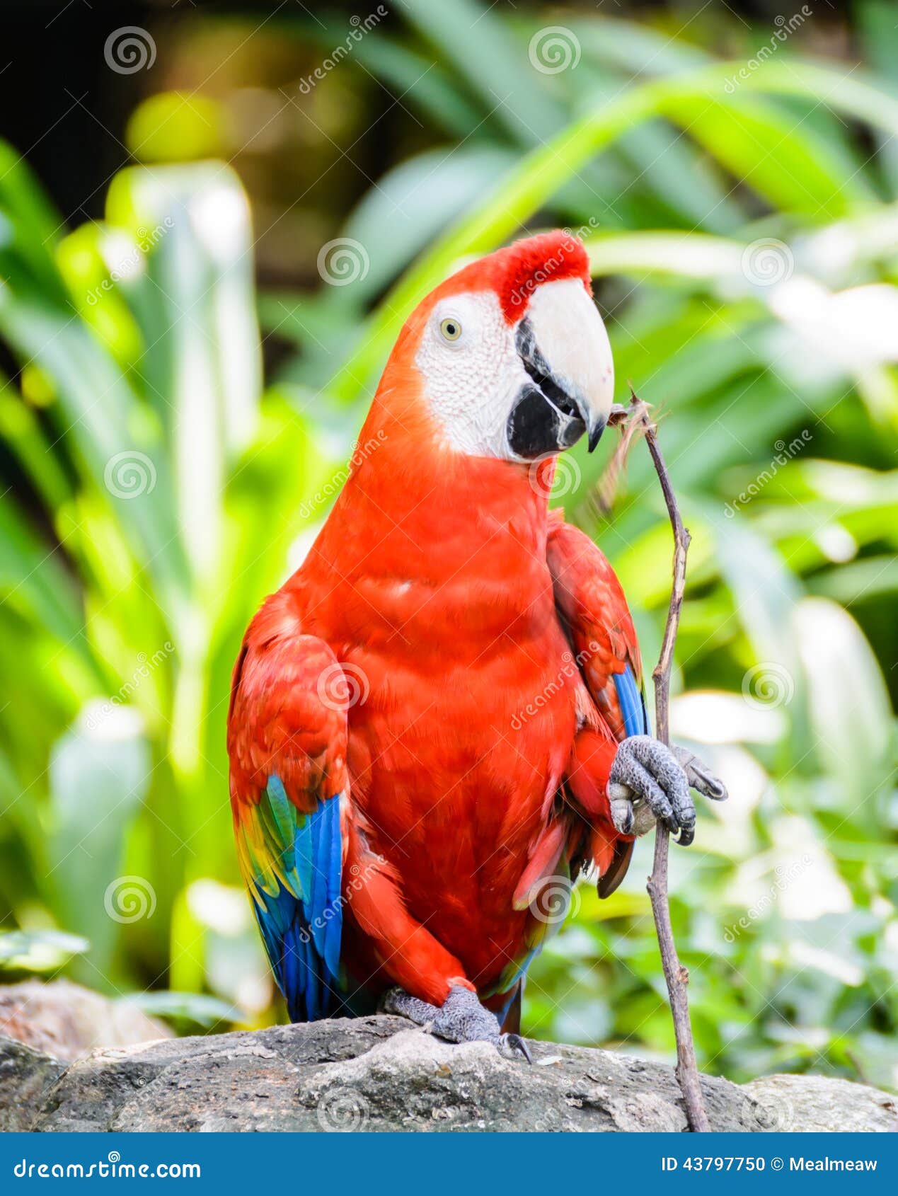 Beautiful Scarlet, Yellow, Orange Trees At The Lake Coast Reflect In ...