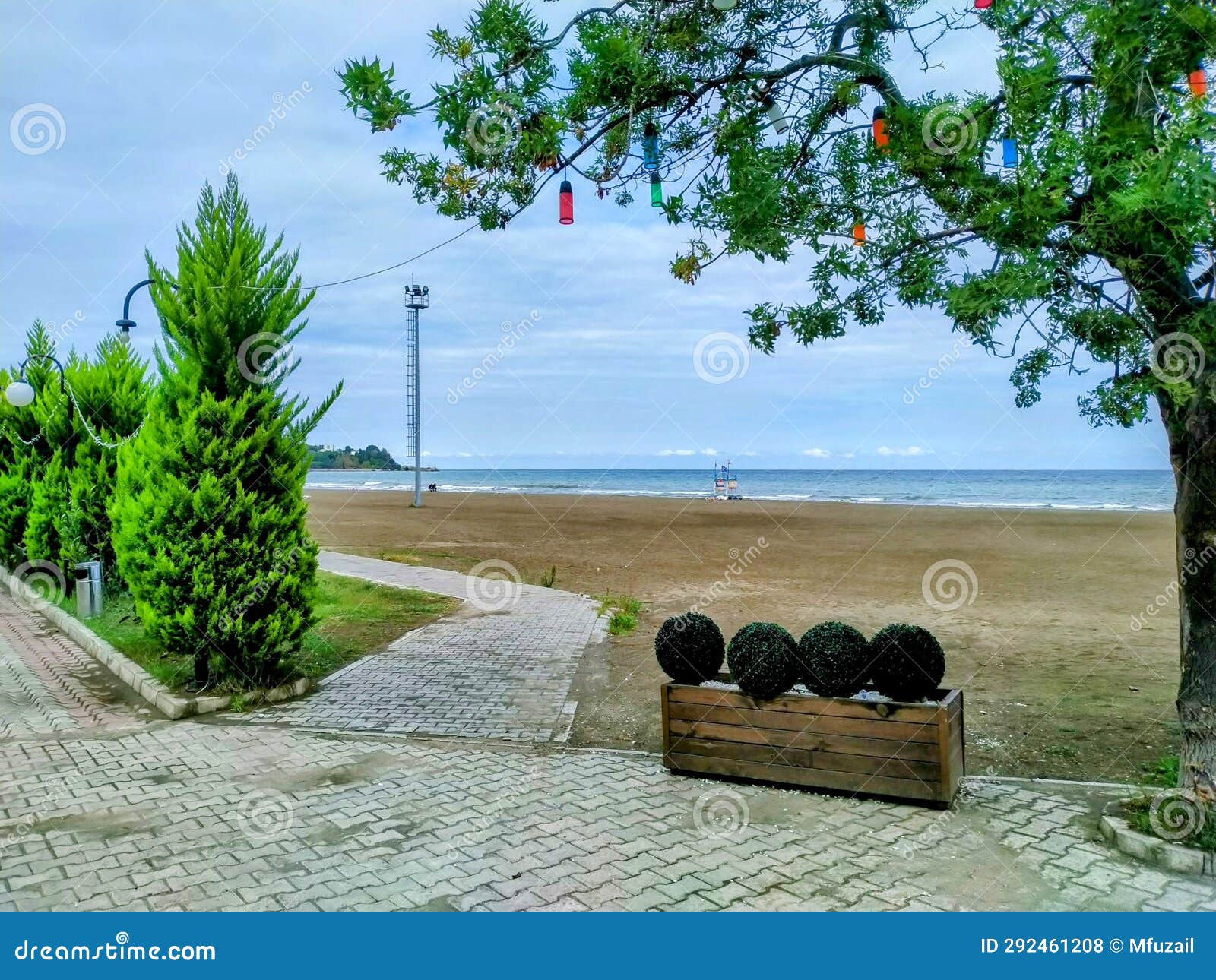 Beautiful Scene of the Black Sea with Greenery Stock Photo - Image of ...