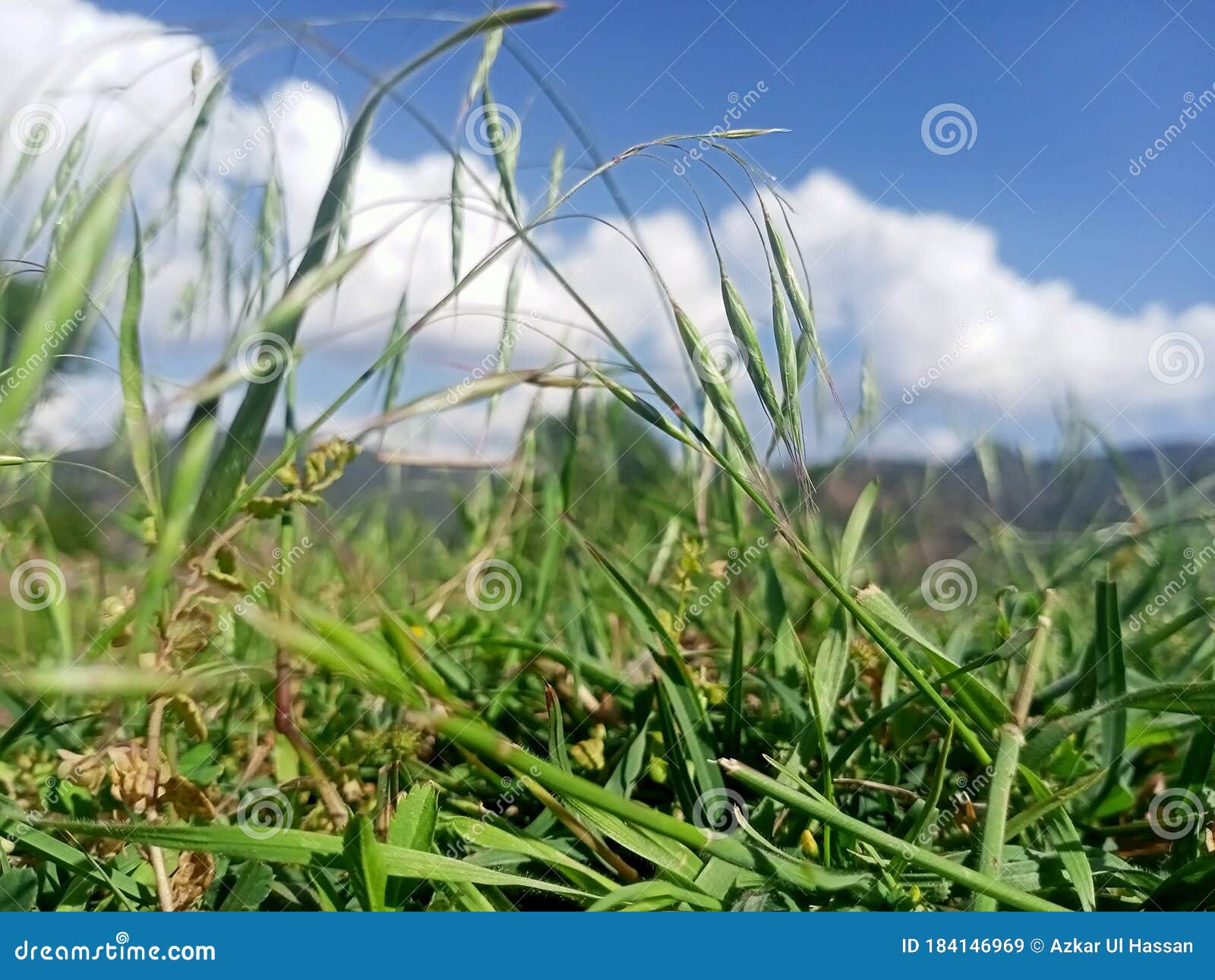 Beautiful Scene of Greenery and Clouds on Sky Stock Image - Image of ...