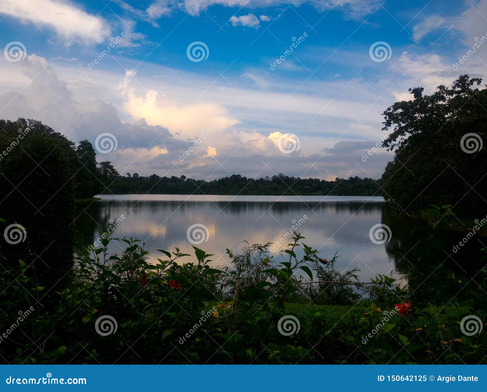 Beautiful Scene by the Lakeside at Dusk Stock Image - Image of ...