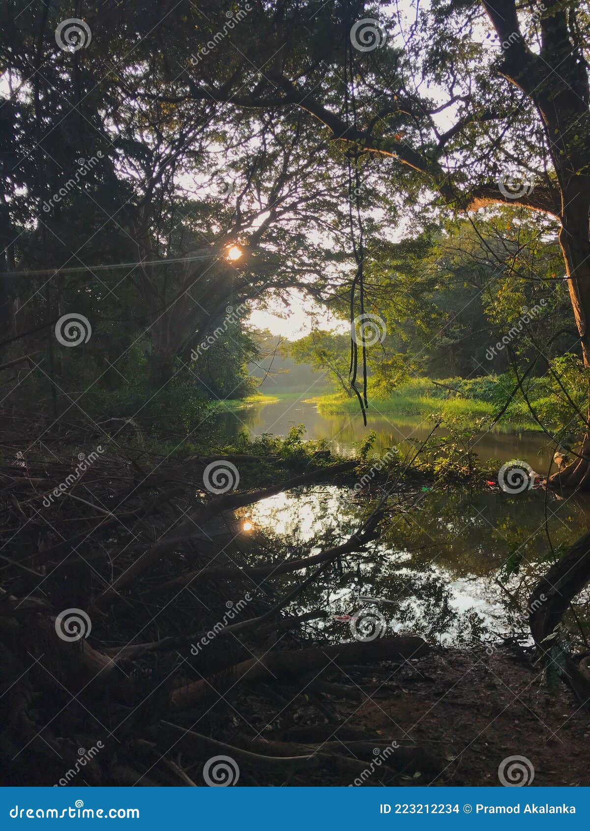 A Beautiful Scene of Small Water Stream with Sun Rays. Editorial Stock ...