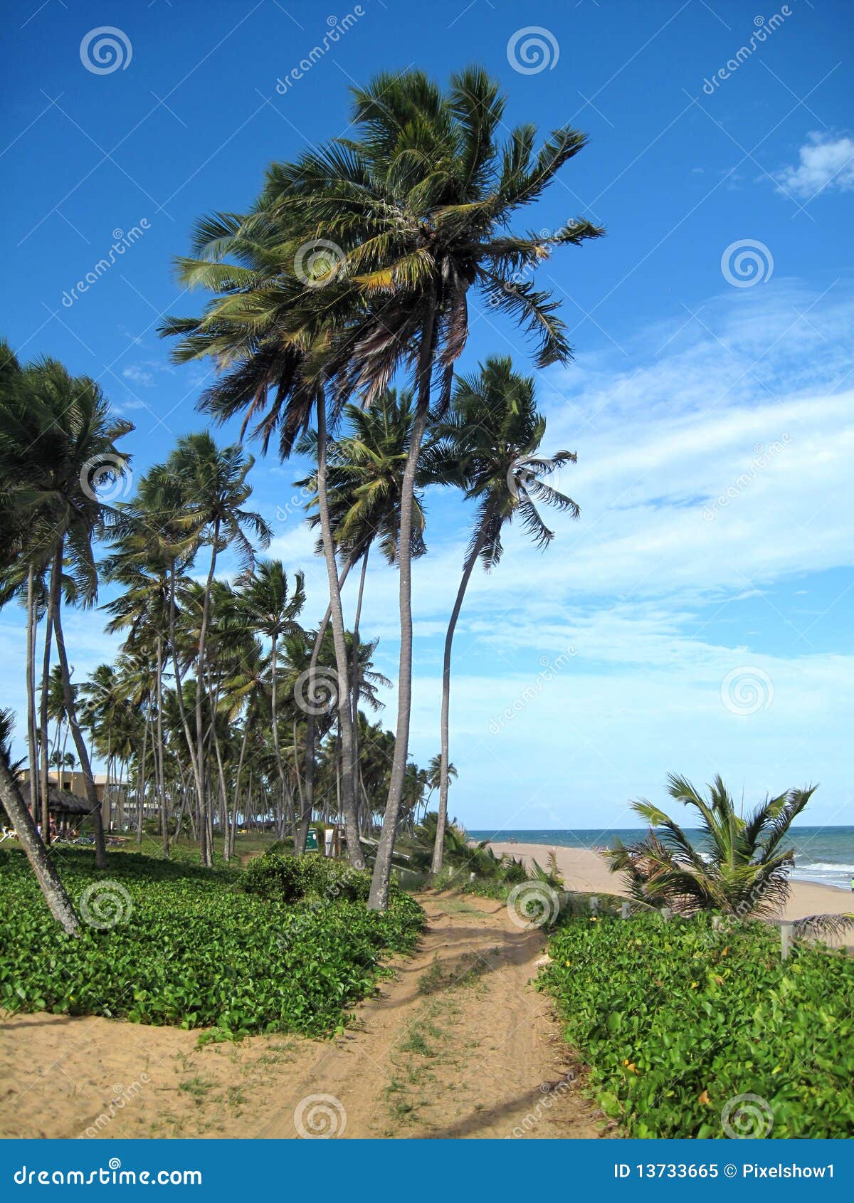 Beautiful Scene of a Tropical Beach Stock Image - Image of road ...