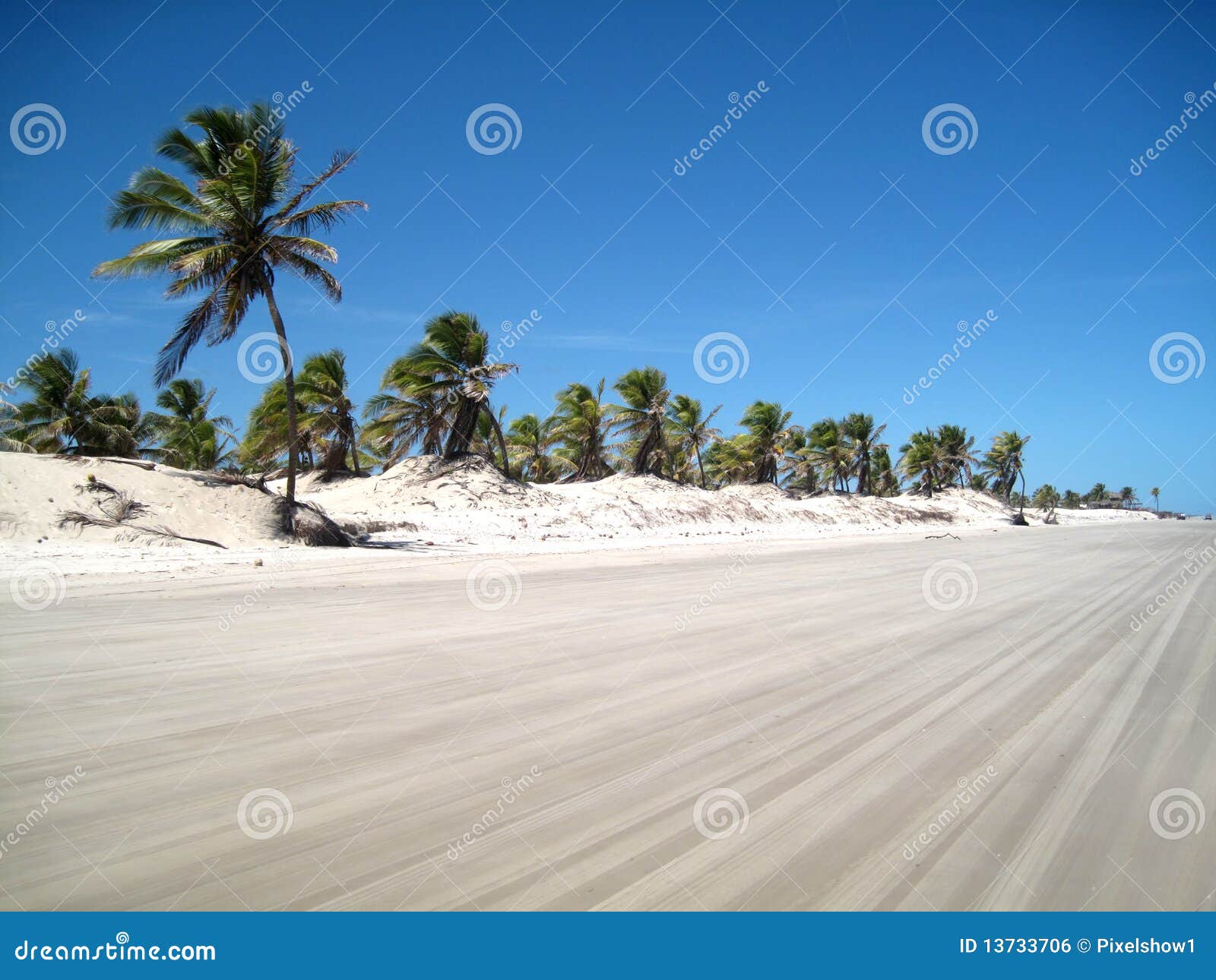 Beautiful Scene of a Tropical Beach Stock Photo - Image of coconut ...