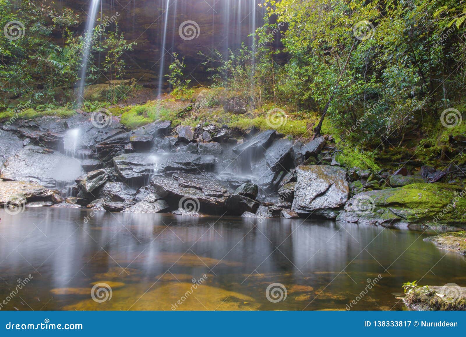 Beautiful Scene, Waterfall in Forest. Stock Image - Image of ferns ...