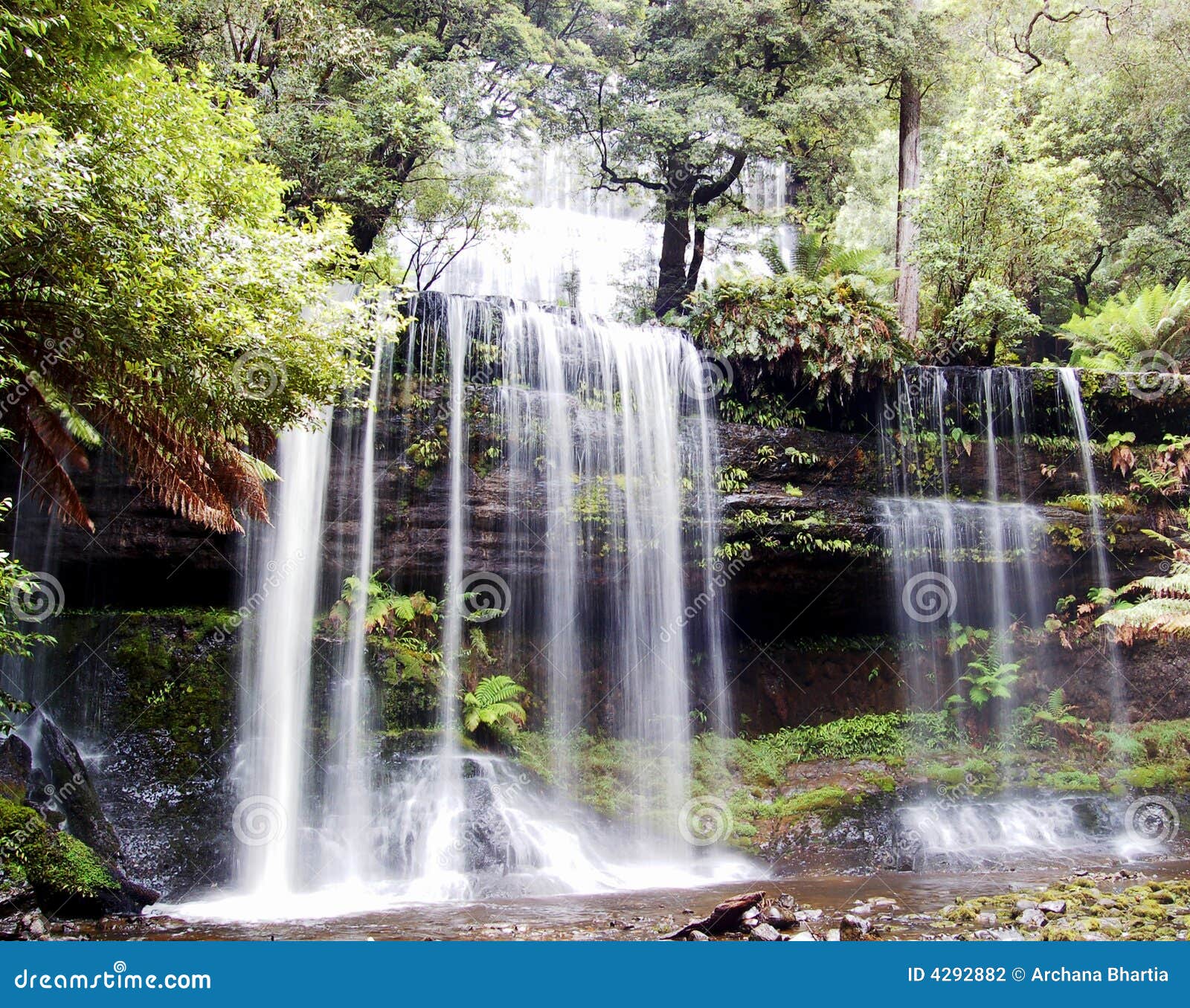 Beautiful scenery stock photo. Image of summer, river - 4292882