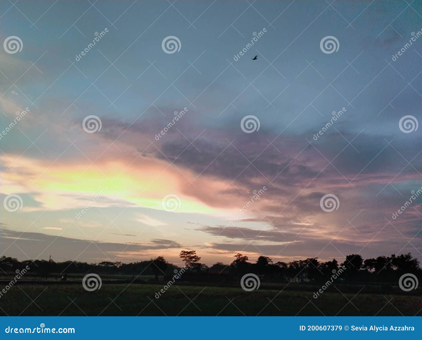 Beautiful Scenery Accompanied by Birds Flying Stock Image - Image of ...