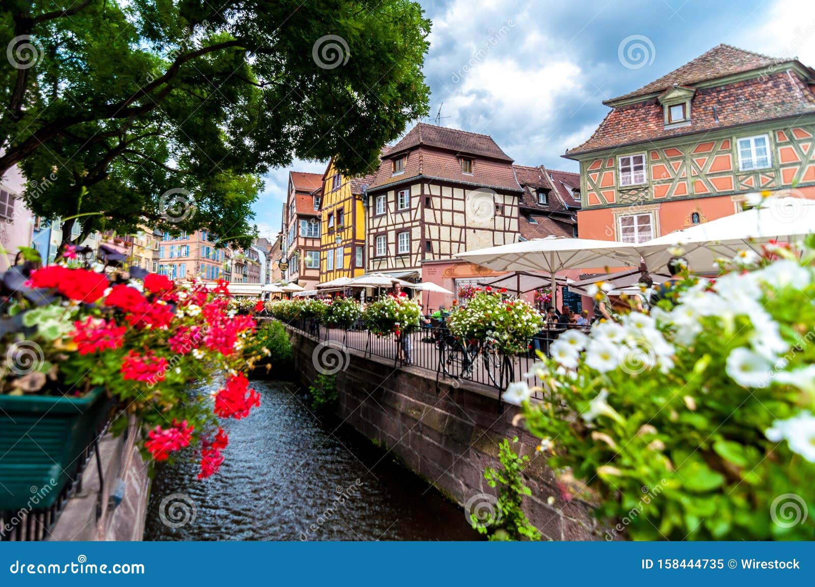 Beautiful Scenery of Architecture and Greenery of the Streets of Italy ...