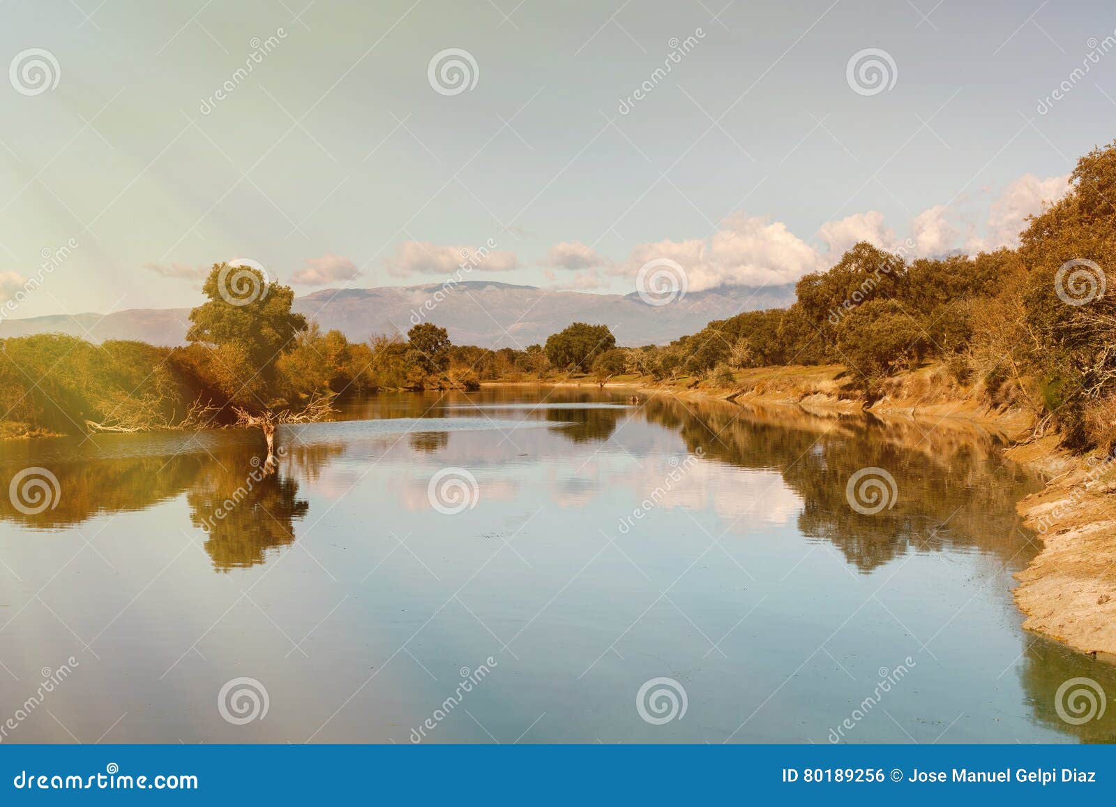 Beautiful Scenery of the Banks of a River Stock Photo - Image of nature ...