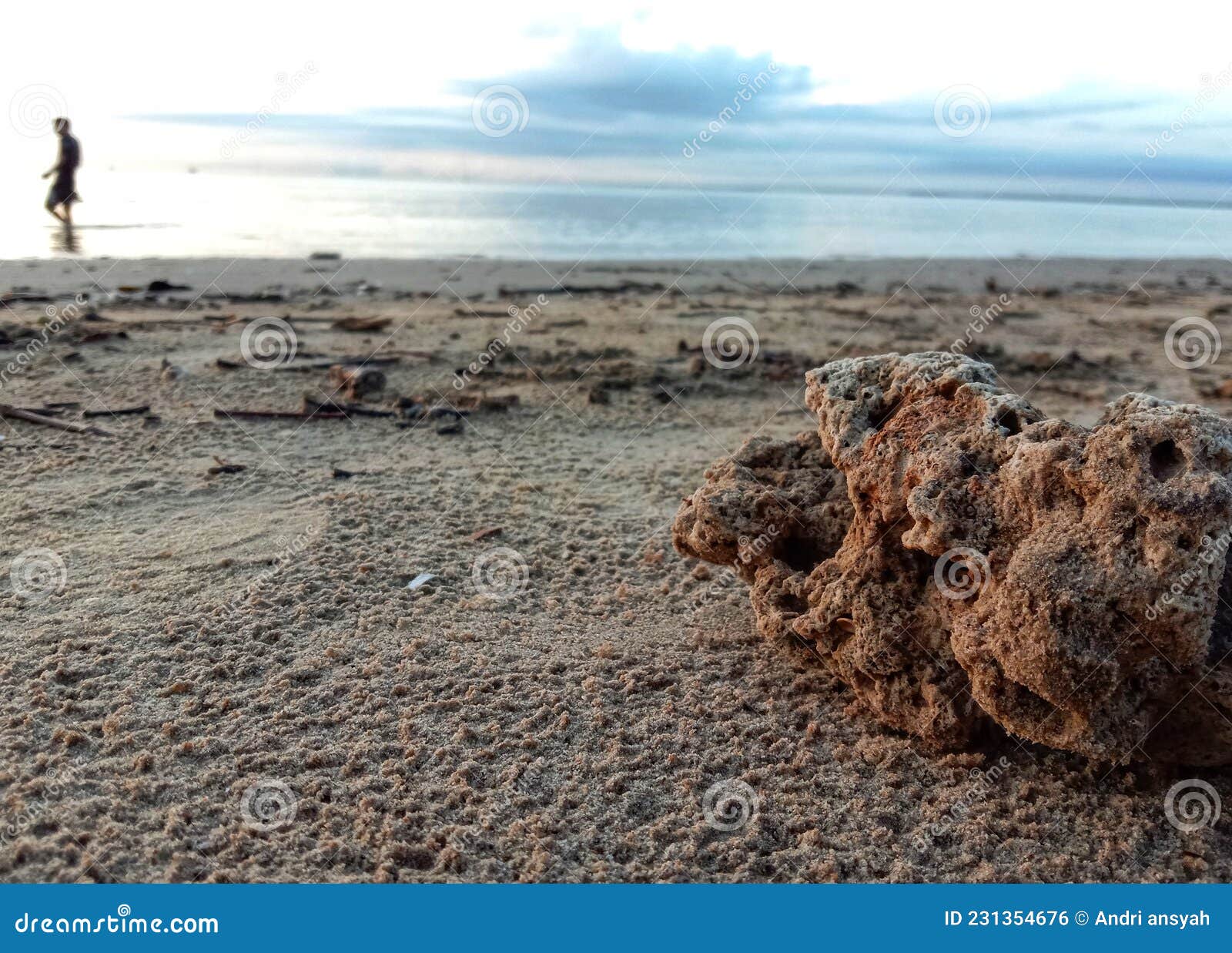 Beautiful Scenery on the Cheerful Beach, Muara Badak Sub-district Stock ...