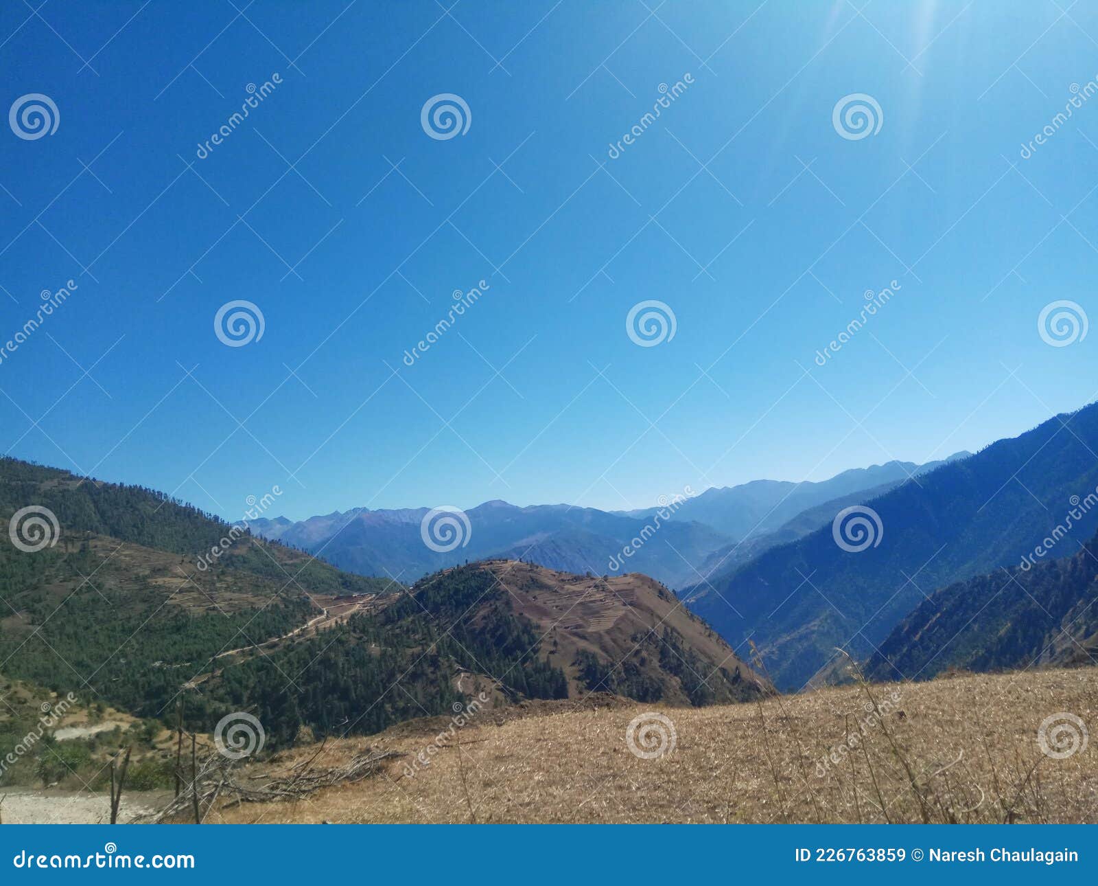 A Beautiful Scenery with Combination of Hill and Forest Stock Image ...