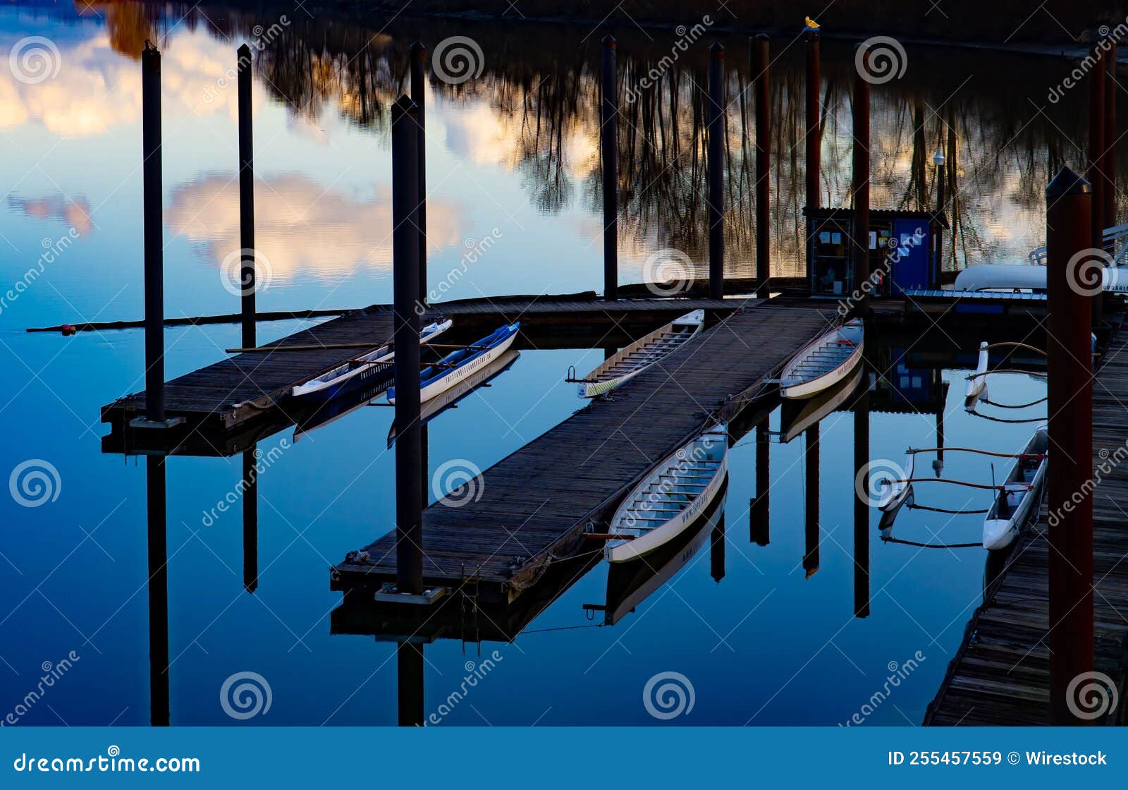 Beautiful Scenery of a Dock on the Side of a River with Mirror ...