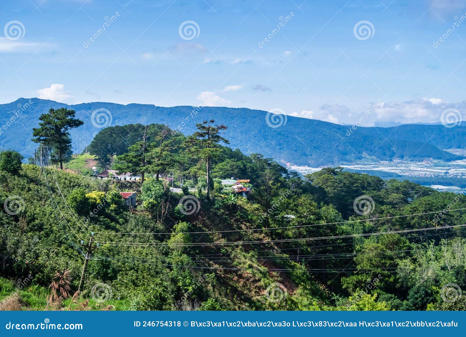 Beautiful Scenery Early in the Morning in Cau Dat, Da Lat Stock Photo ...