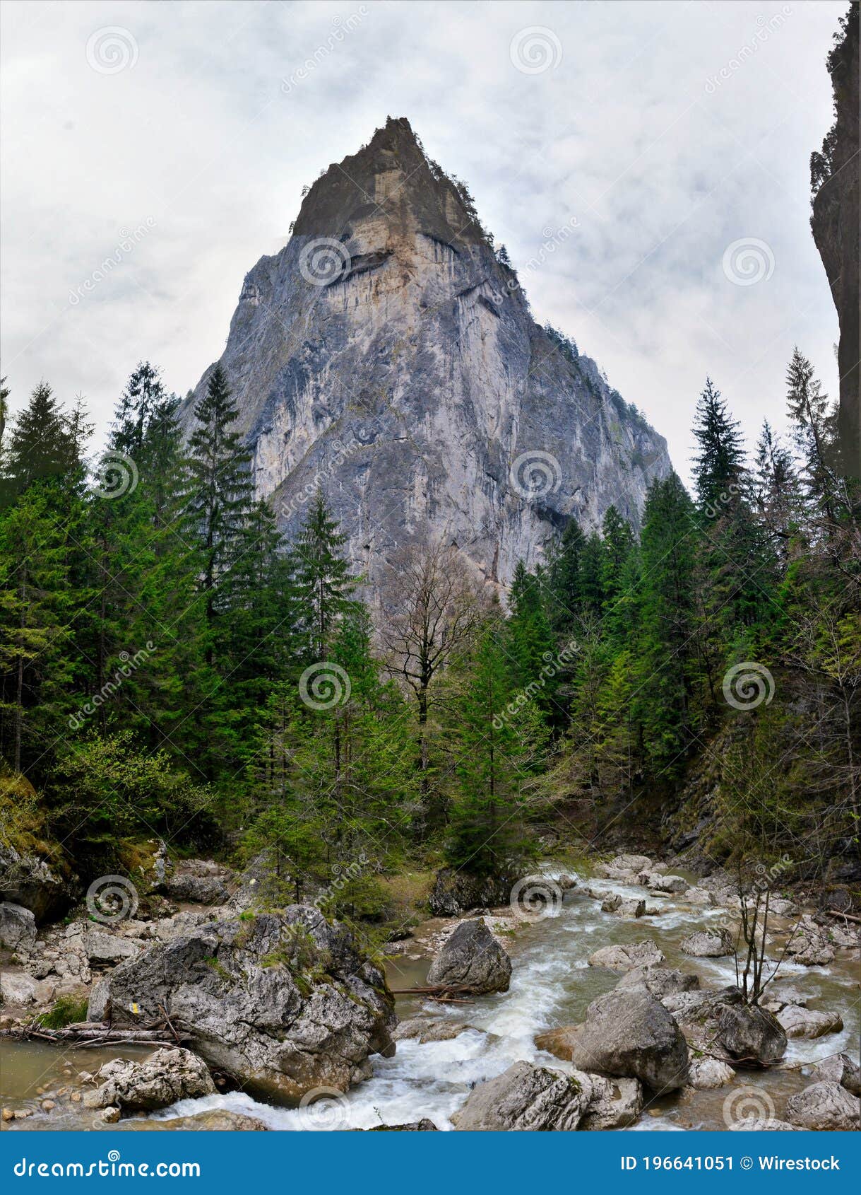 Beautiful Scenery of the Famous Hasmas Mountains in Romania Stock Image ...