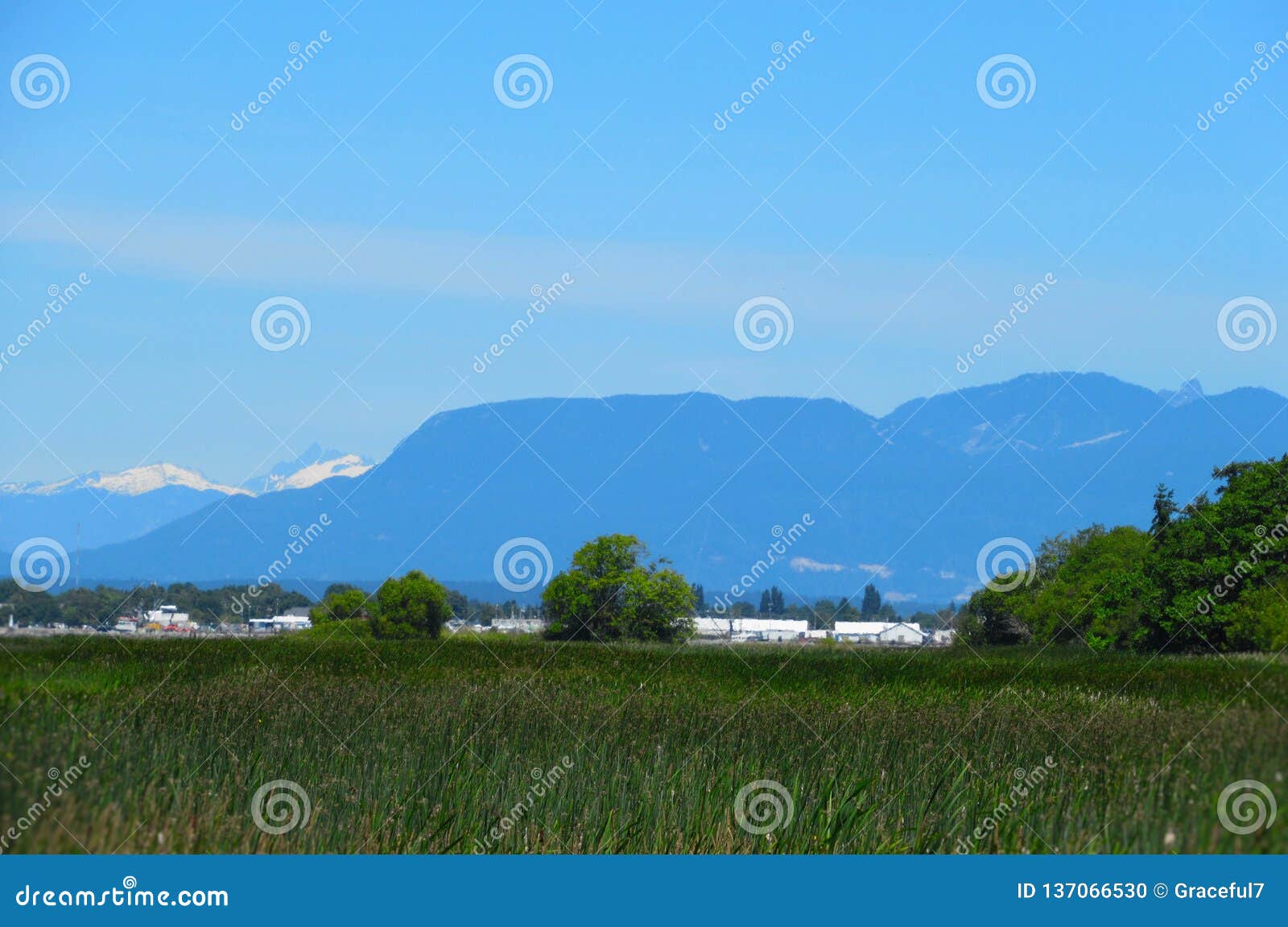 Beautiful Scenery of Farm Land at Ladner Stock Photo - Image of plant ...