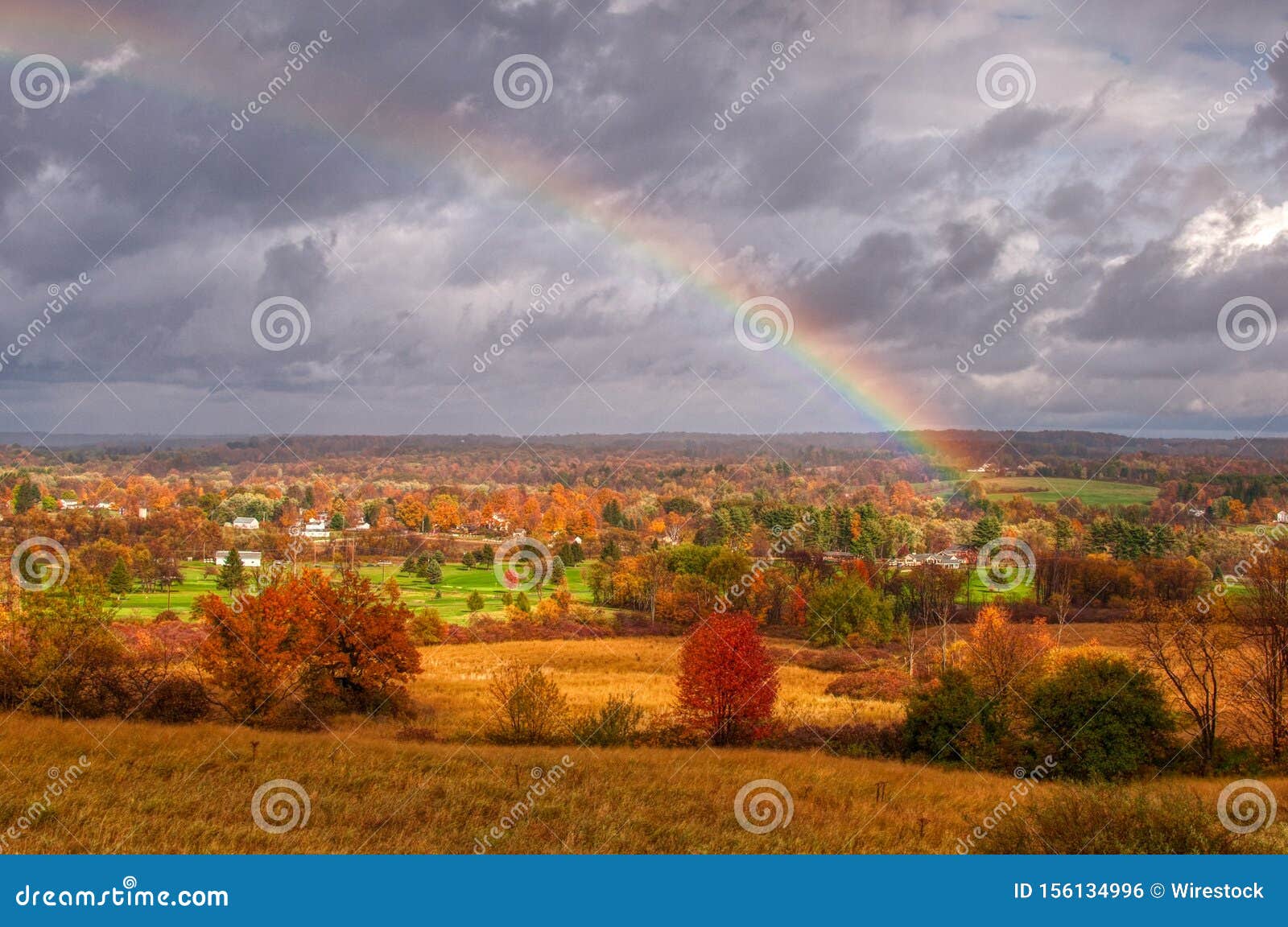 Beautiful Scenery of a Forest with a Breathtaking Rainbow Visible in ...