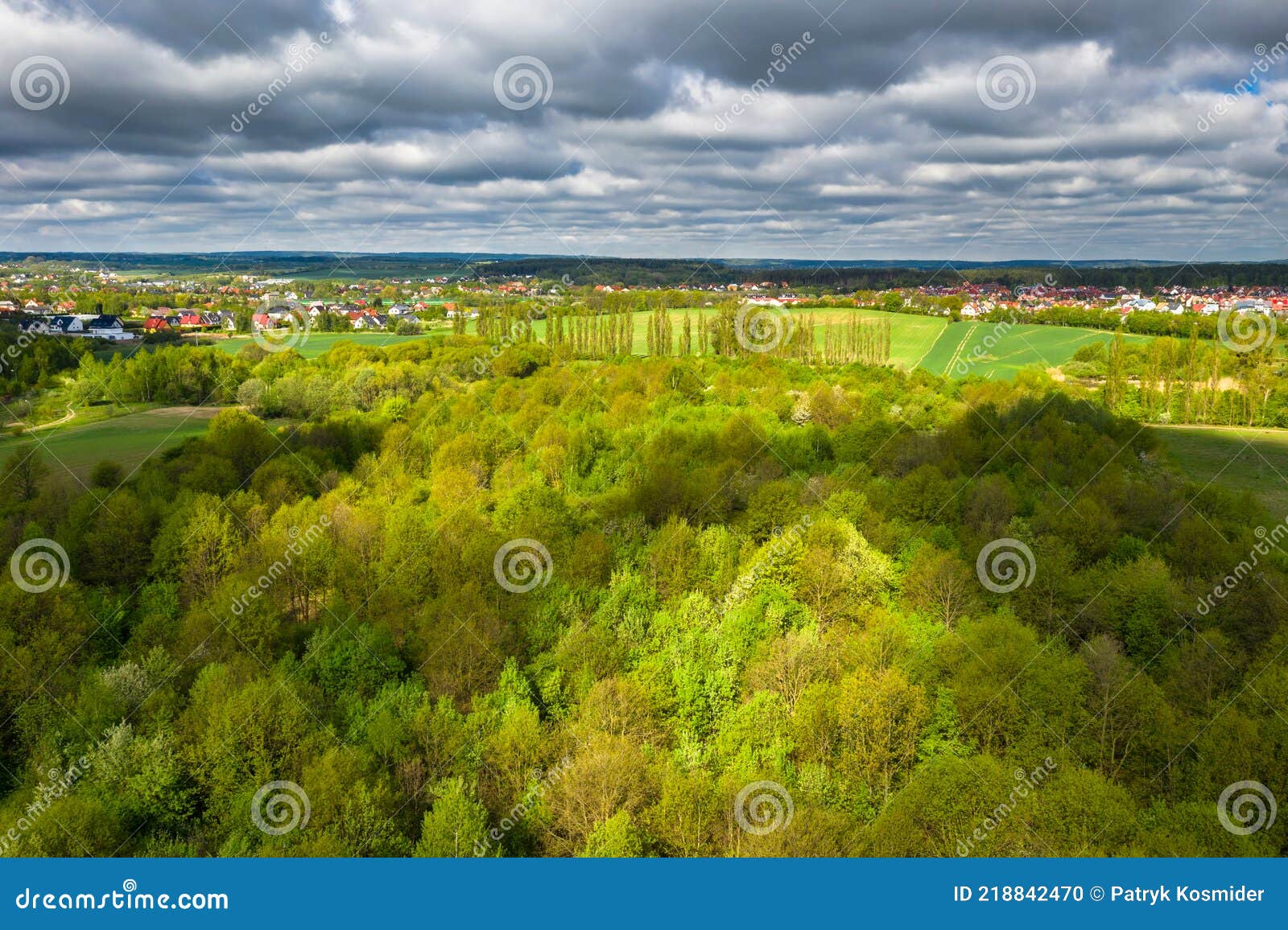 Beautiful Scenery of the Forest in Poland at Spring Stock Photo - Image ...