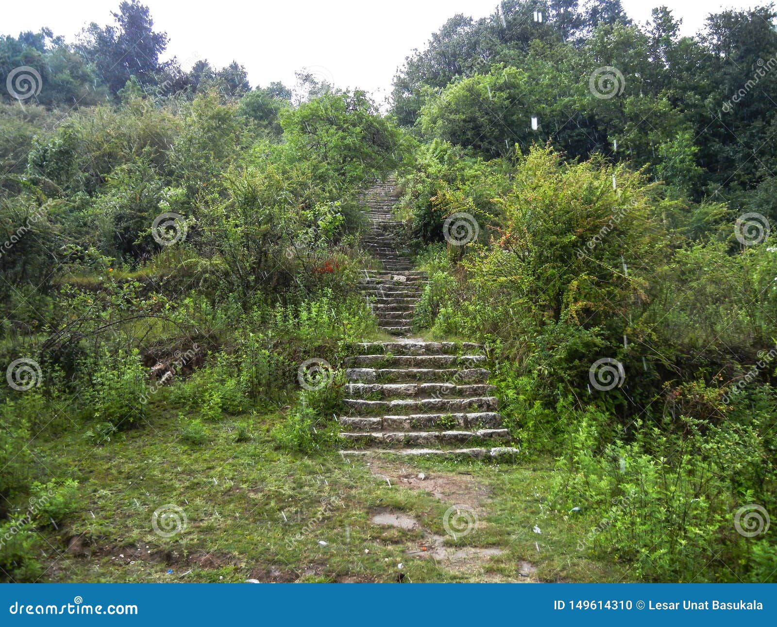 Beautiful Scenery of Forest with Rocky Trail Pavement Stock Photo ...