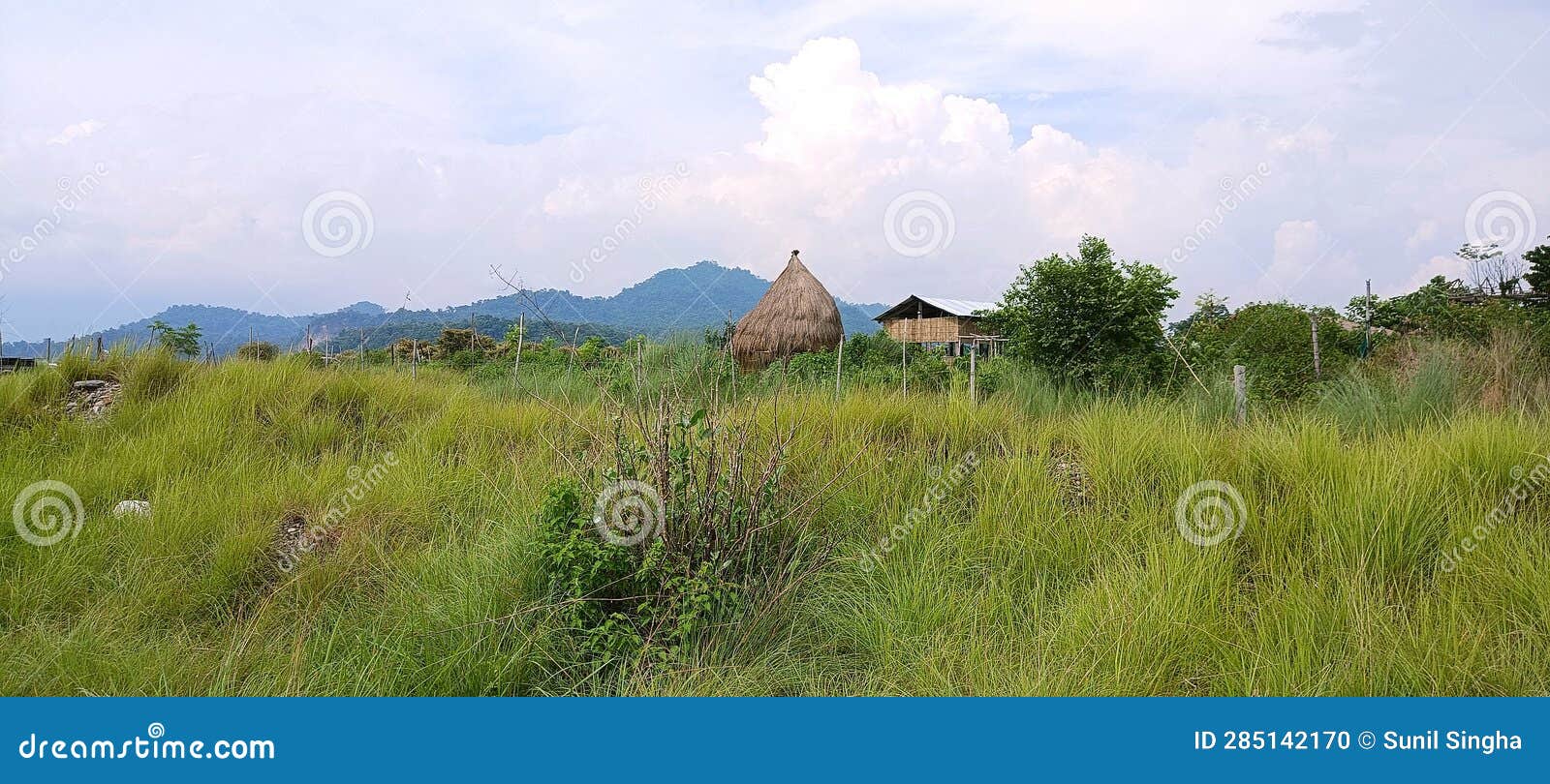 The Beautiful Scenery of Grassland of Baksa of Assam, India. Stock ...