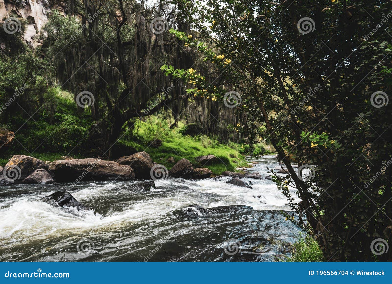 Beautiful Scenery of a Green Landscape with a River and Greenery Stock ...