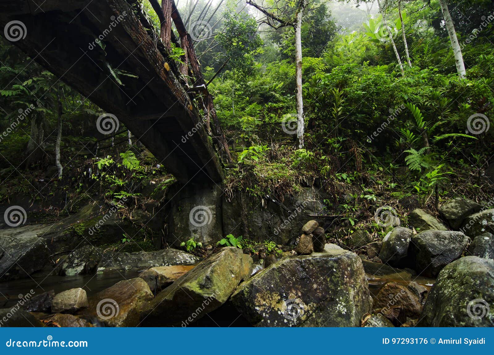 Beautiful Scenery of Green Rain Forest Stock Photo - Image of cascade ...
