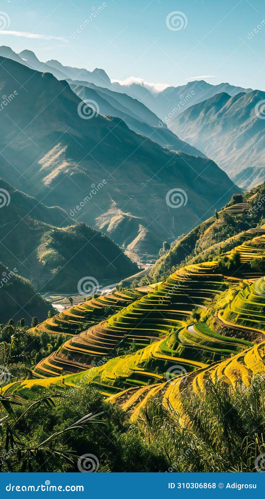 A Beautiful Scenery of Green Terraced Fields Stock Illustration ...