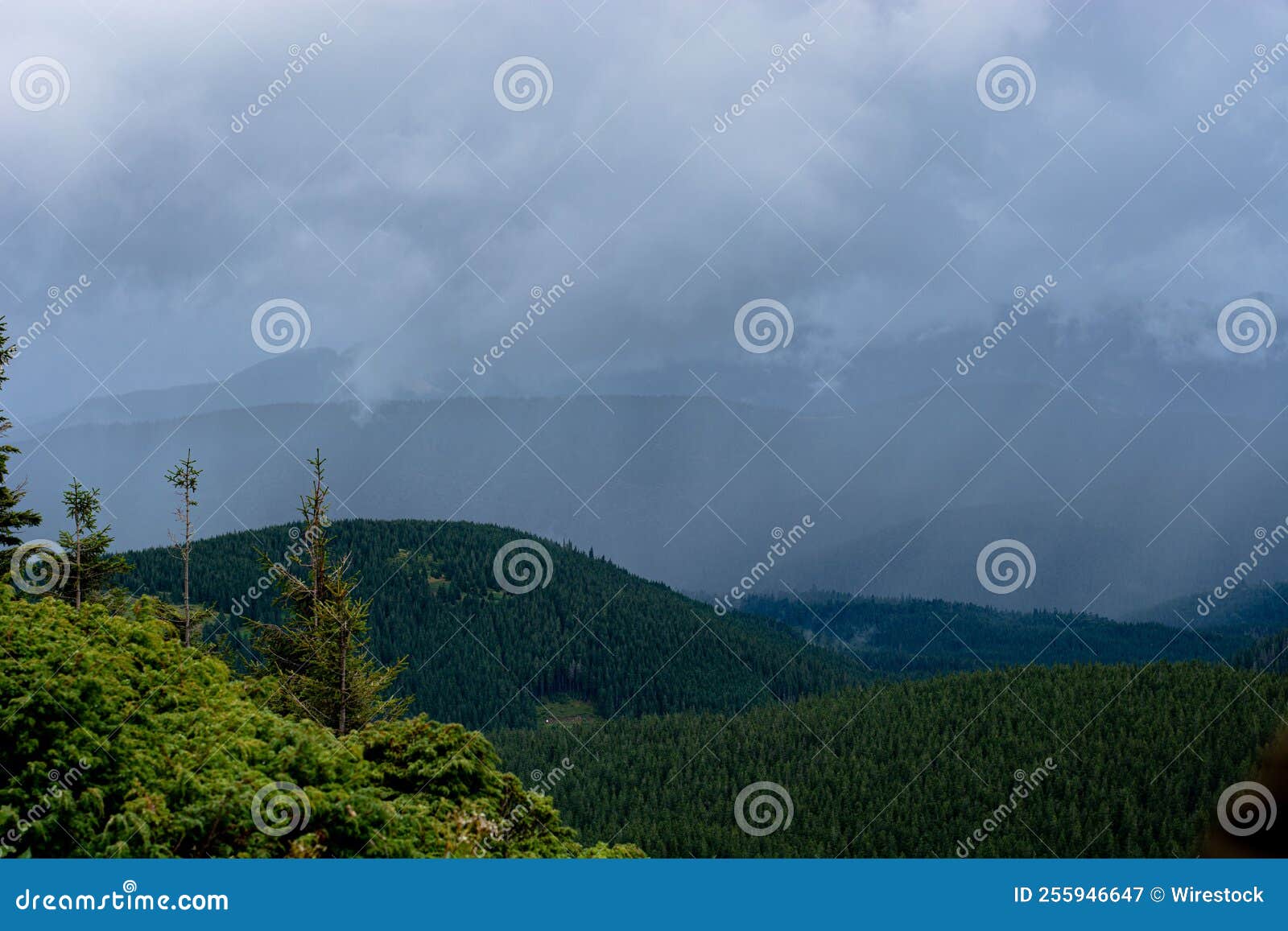 Beautiful Scenery of Greenery Hills in a Mist Stock Image - Image of ...