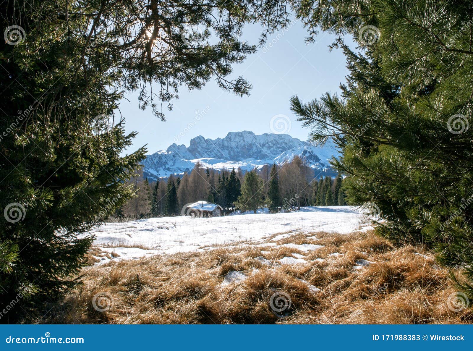 Beautiful Scenery of High Rocky Cliffs and Trees Covered with Snow in ...
