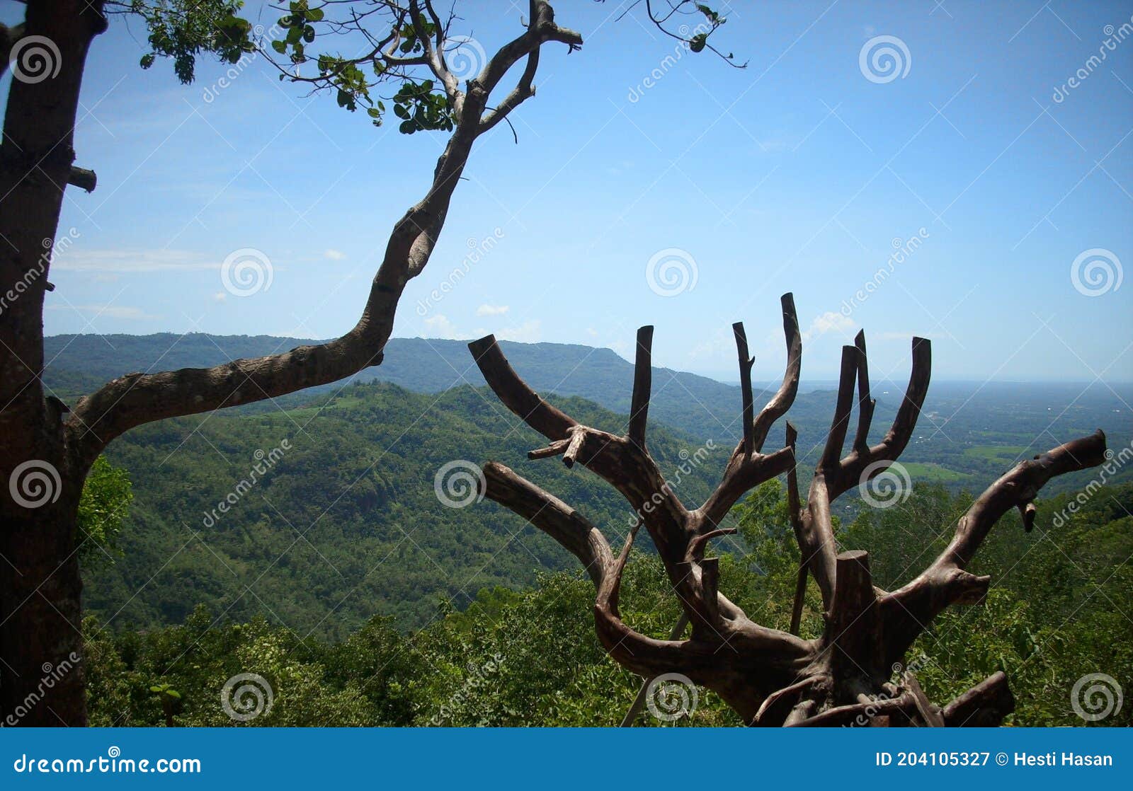 The Beautiful Scenery of Hills and Tree Trunks Stock Image - Image of ...
