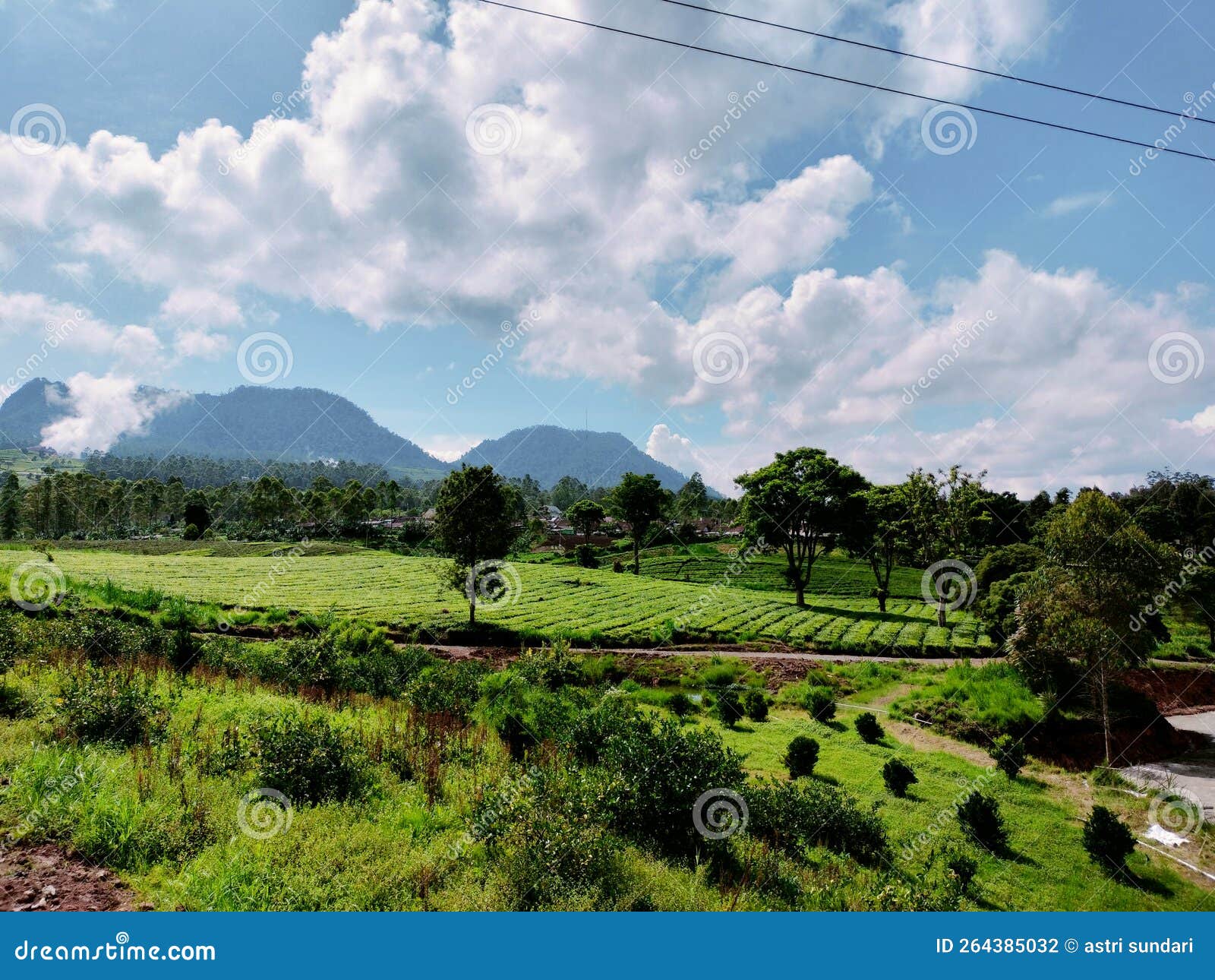 Beautiful Scenery in the Morning Pangalengan Bandung, West Java Stock ...