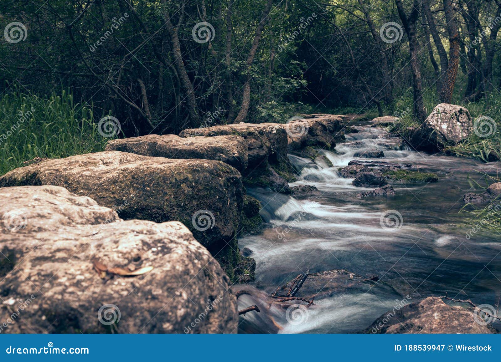 Beautiful Scenery of the Mountain River Stream Flowing Down between ...