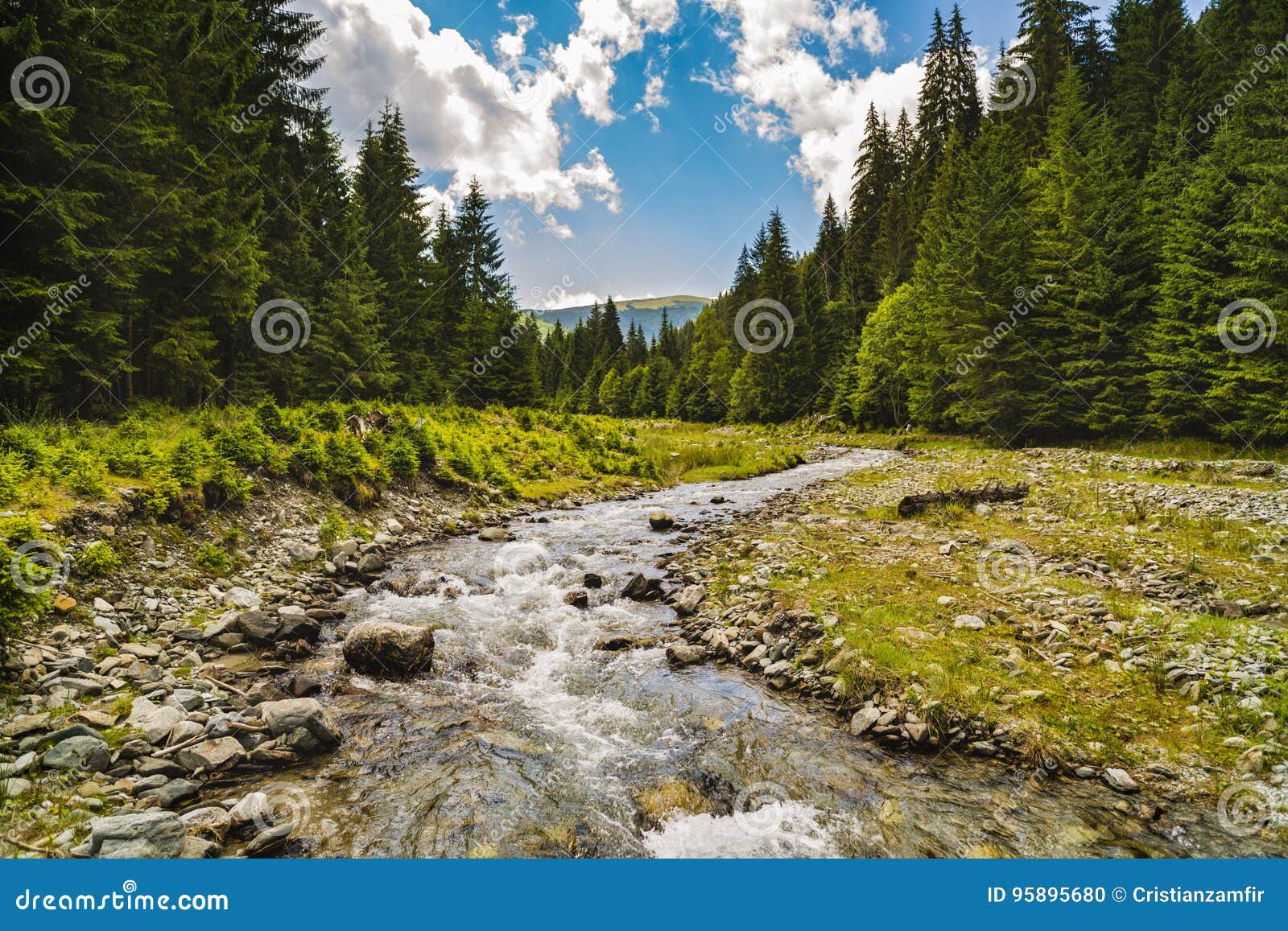 Beautiful Scenery with a Mountain River Stock Photo - Image of forest ...