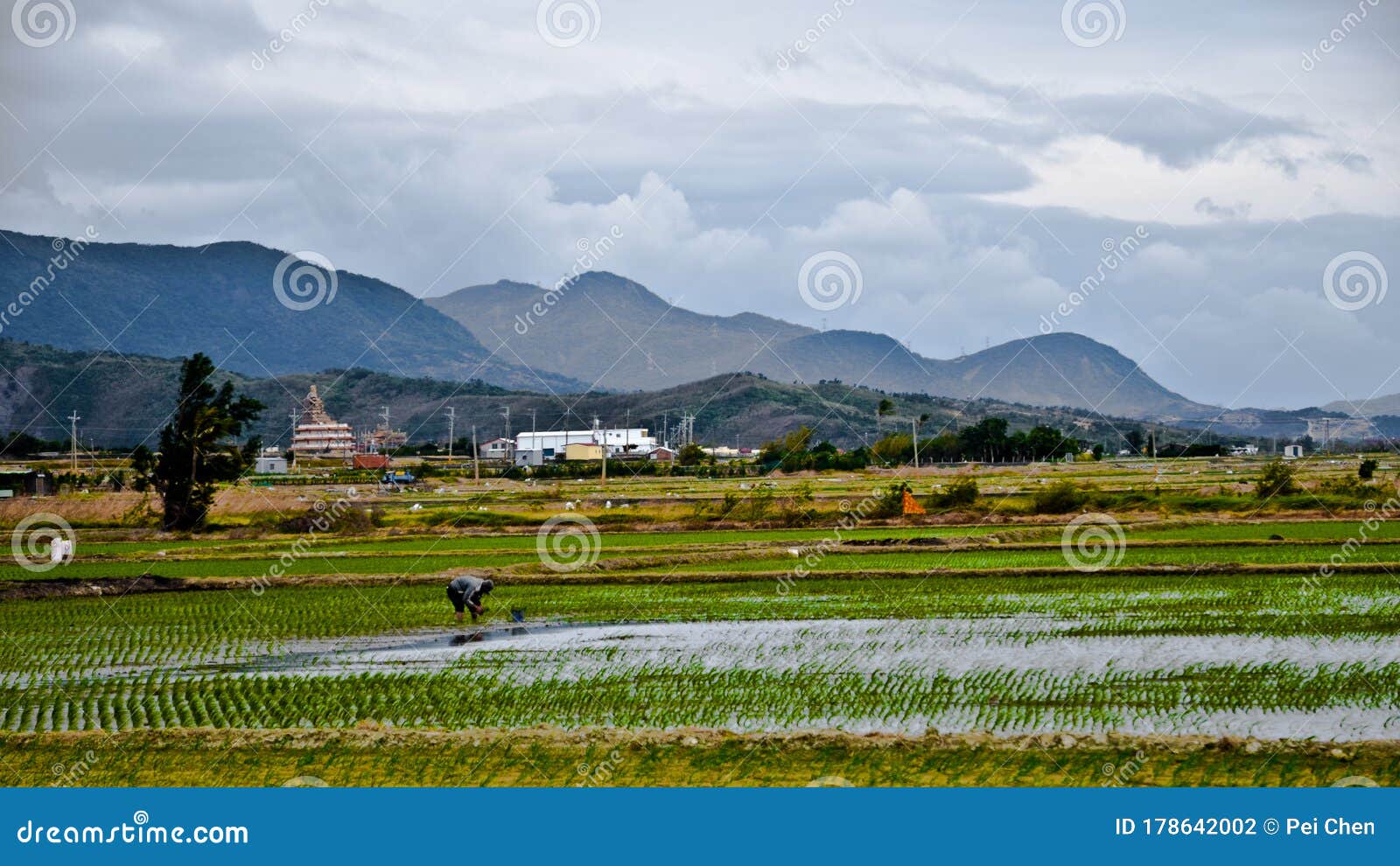 The Beautiful Scenery of Nepal Stock Photo - Image of park, rice: 178642002