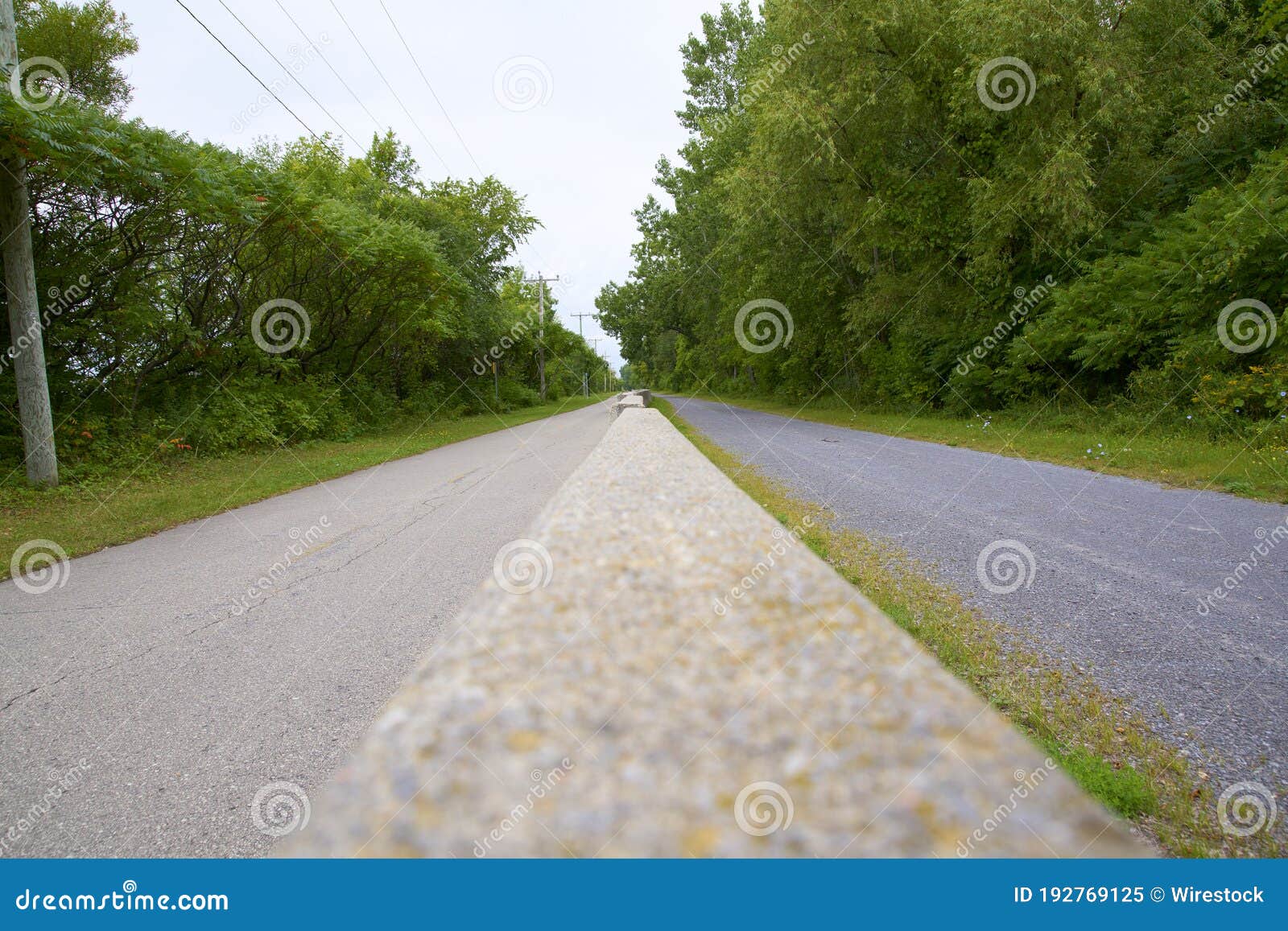Beautiful Scenery of a Pathway Surrounded by Green Trees in Montreal ...
