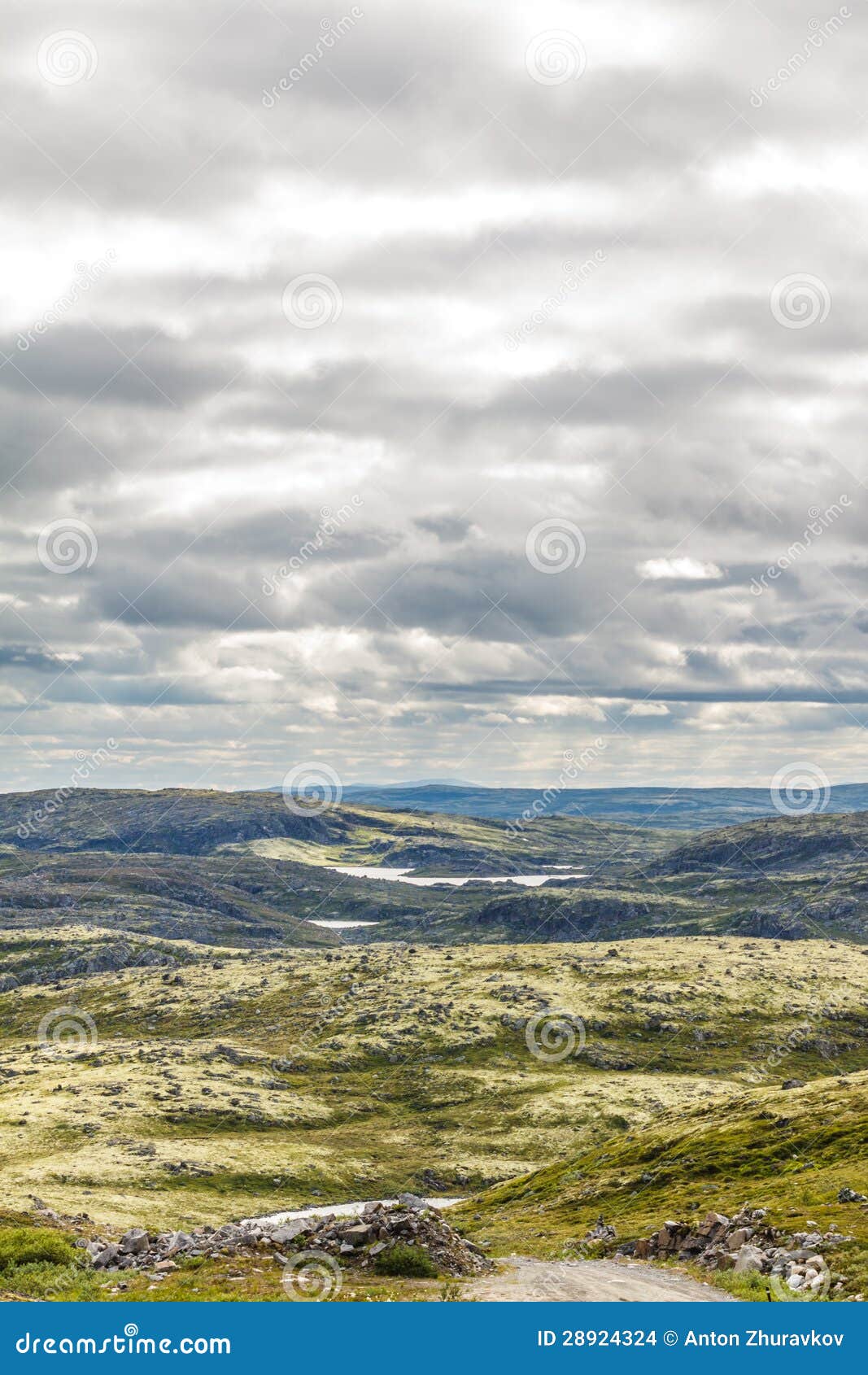 Beautiful Scenery of Polar Tundra Stock Photo - Image of khibiny ...