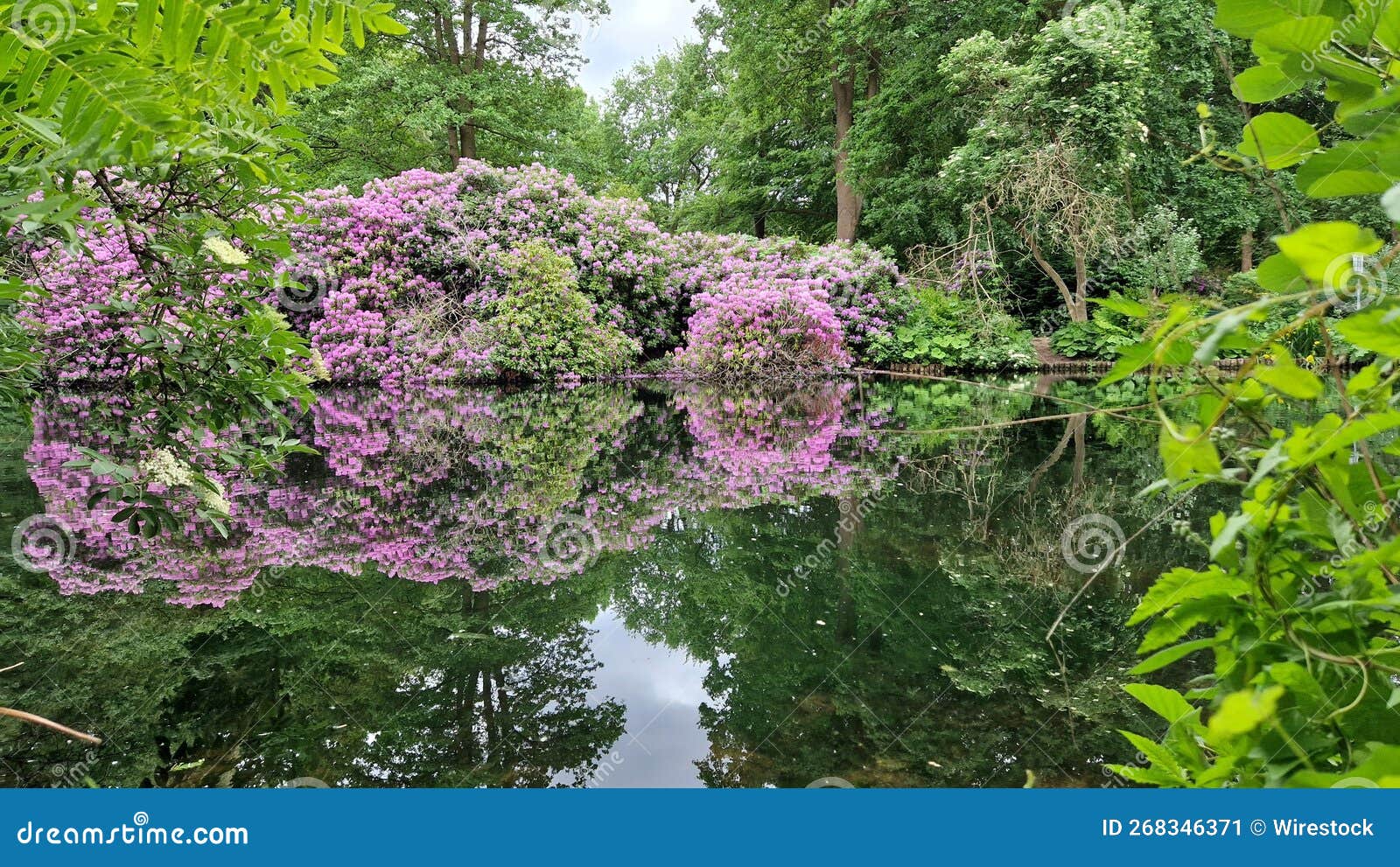 Beautiful Scenery of a Pond Surrounded by Trees, Bloom Flowers and ...