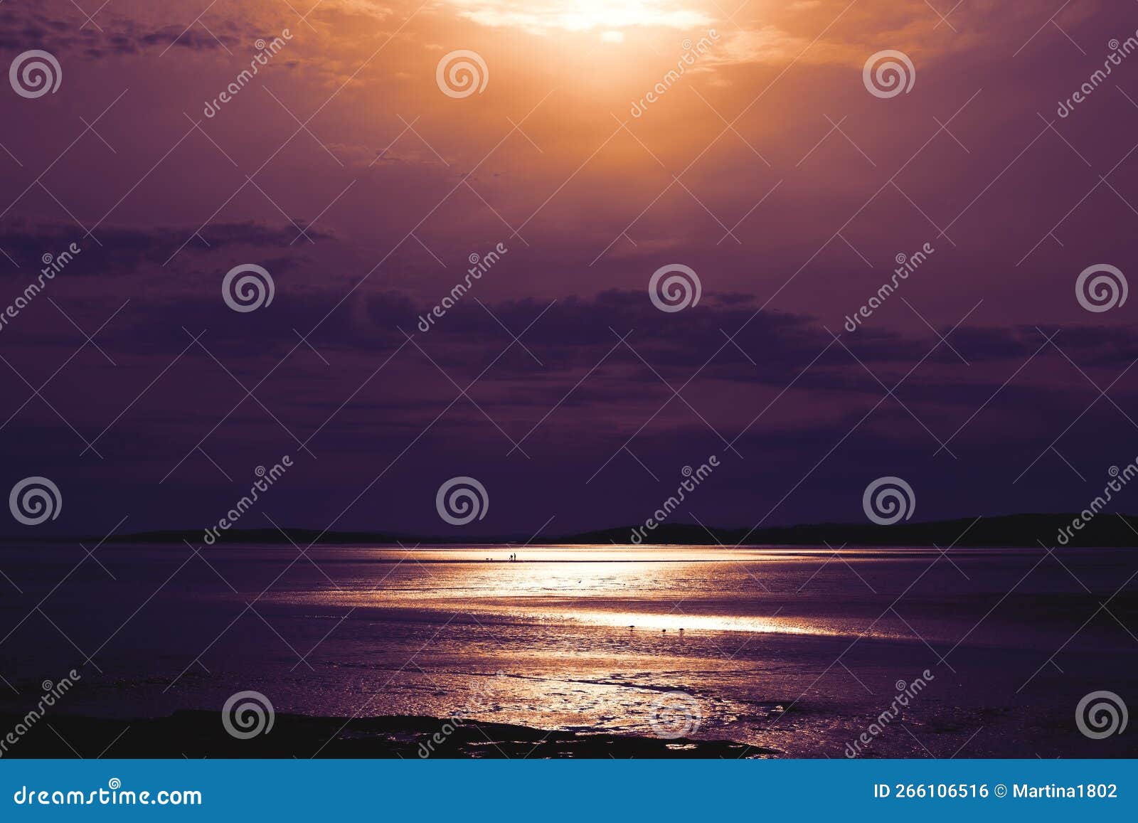 Beautiful Scenery of Purple Sunset Stock Photo - Image of color, blue ...