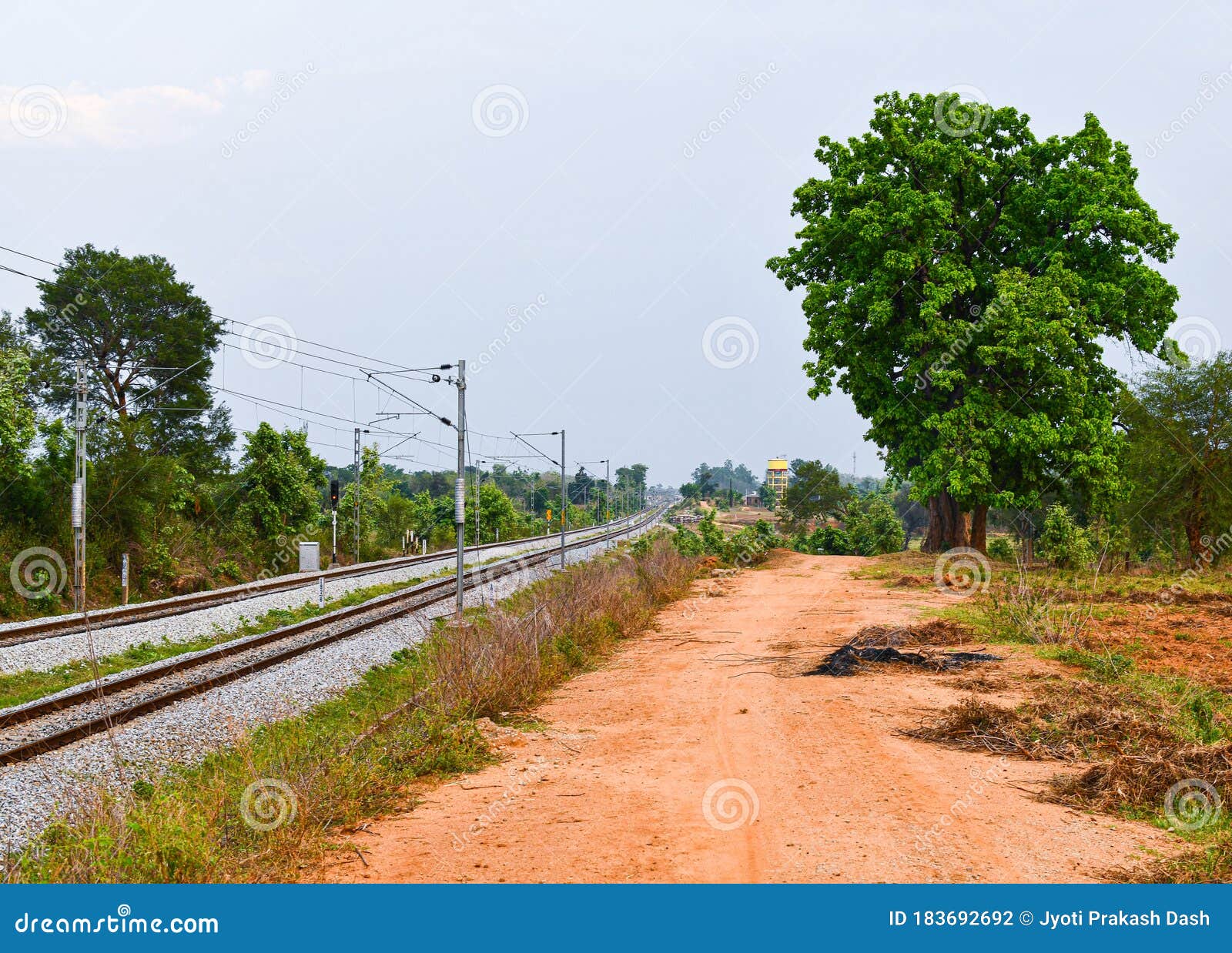 Beautiful Scenery of Rail Line. Stock Photo - Image of plant ...