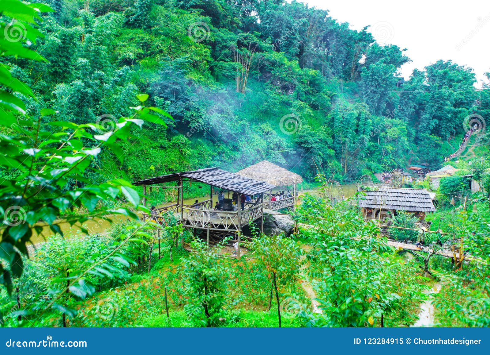 Beautiful Scenery of the Rice Fields of Cat Cat Village Editorial Image ...