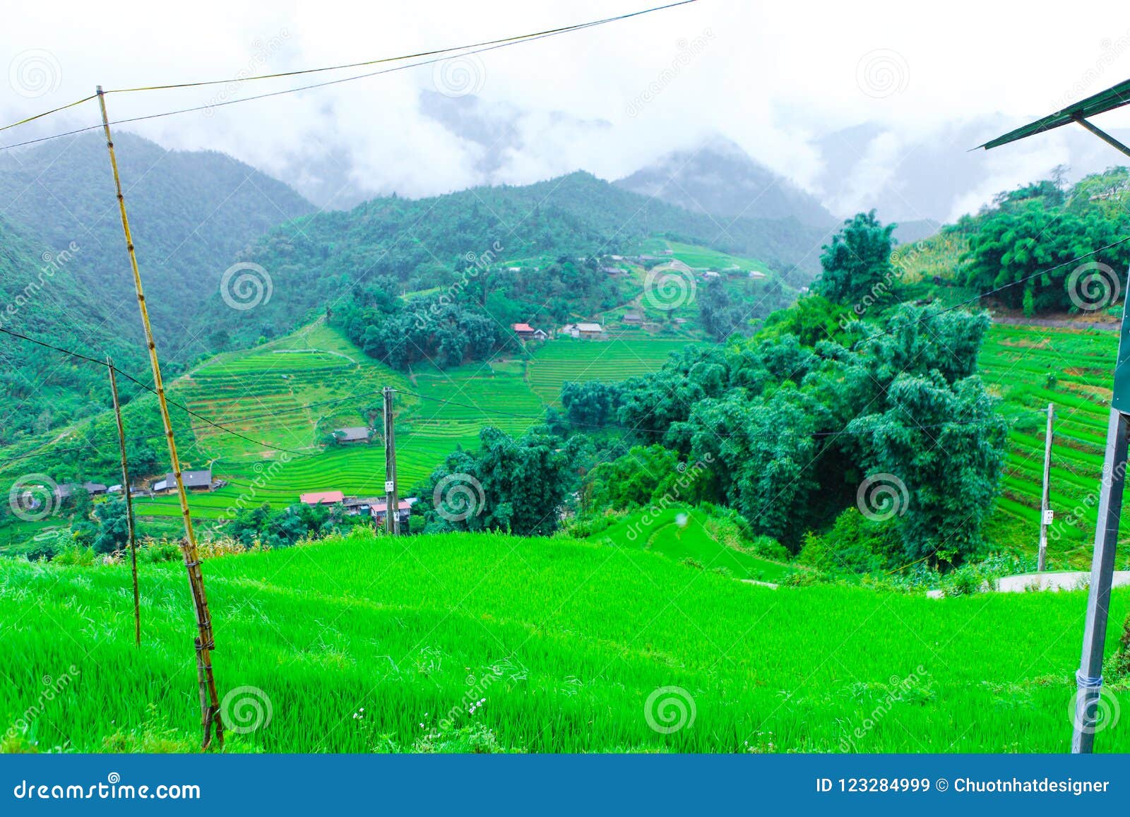 Beautiful Scenery of the Rice Fields of Cat Cat Village Stock Image ...