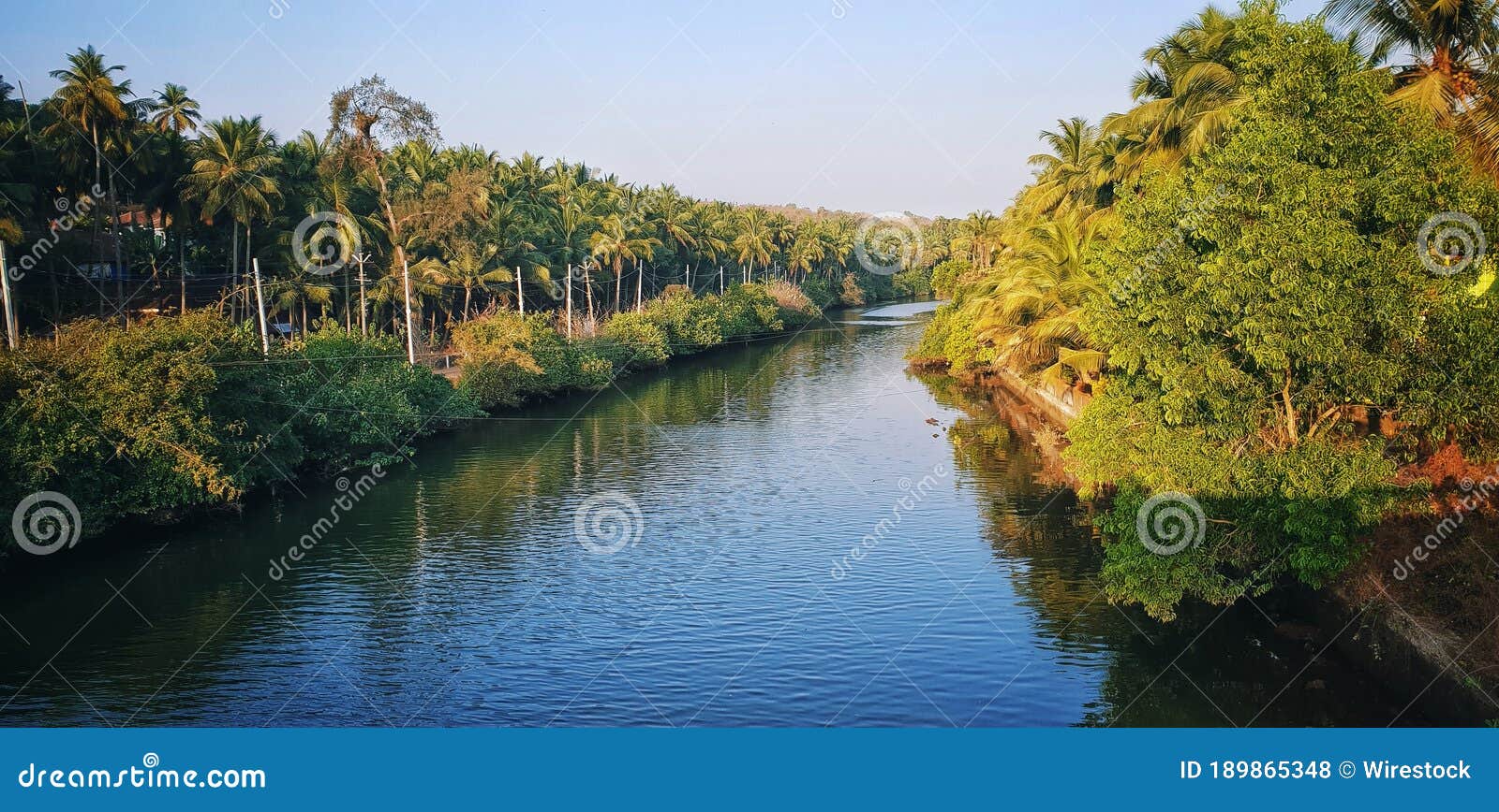 Beautiful Scenery of a River Surrounded by Greenery and Tall Trees in ...
