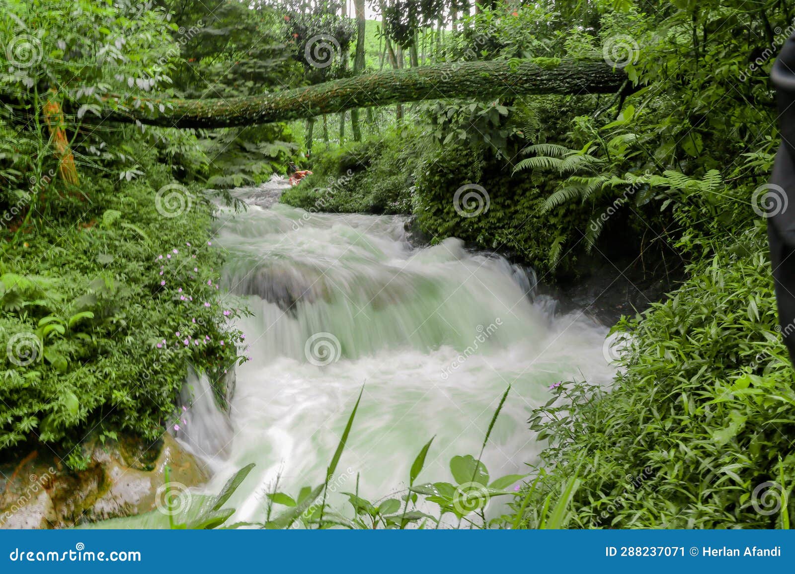 Beautiful Scenery River Water Flows Down the Waterfall Editorial Photo ...