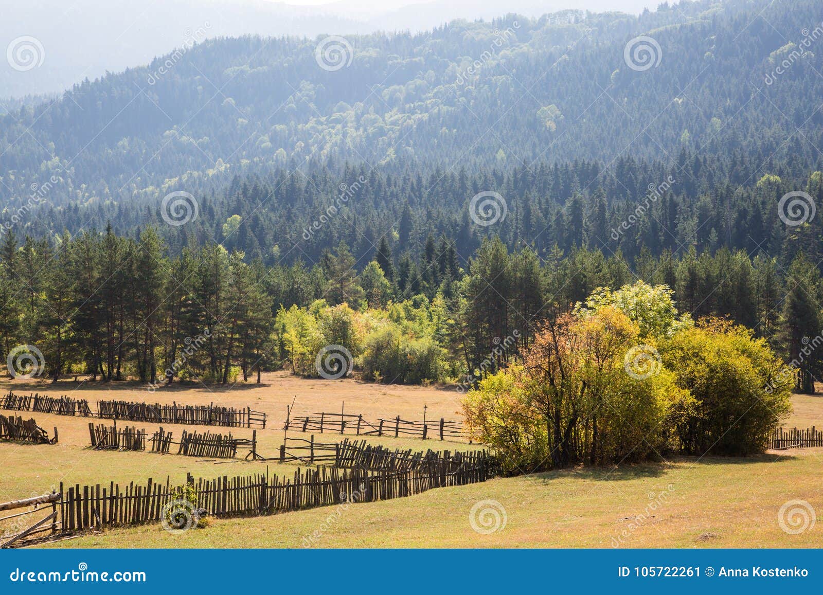 Beautiful Scenery on the Road through the Pass of Goderdzi Stock Image ...