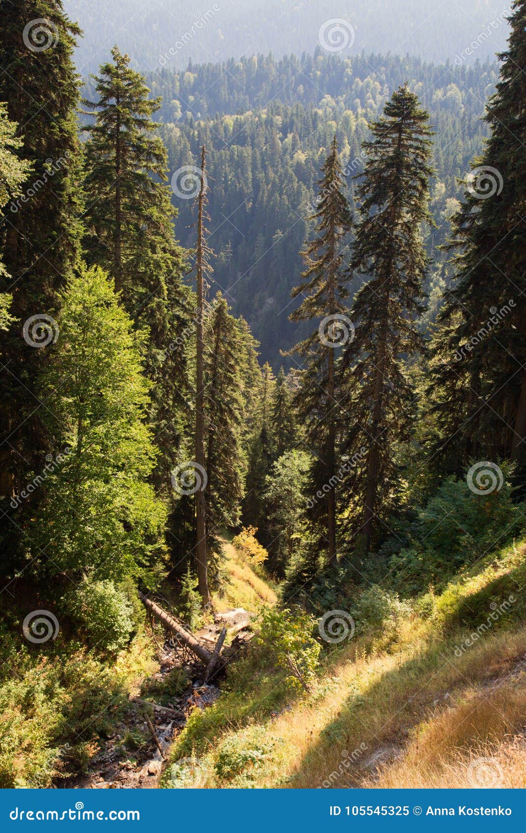 Beautiful Scenery on the Road through the Pass of Goderdzi Stock Image ...