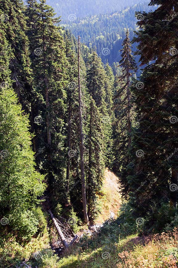 Beautiful Scenery on the Road through the Pass of Goderdzi Stock Photo ...