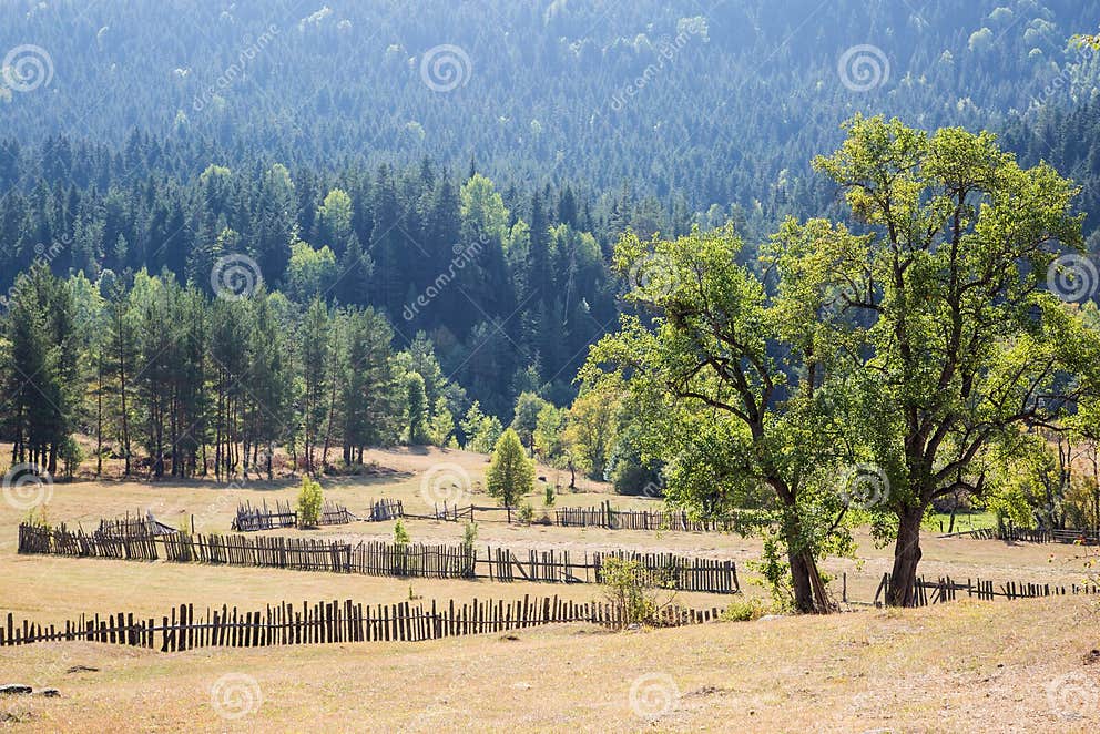 Beautiful Scenery on the Road through the Pass of Goderdzi Stock Photo ...
