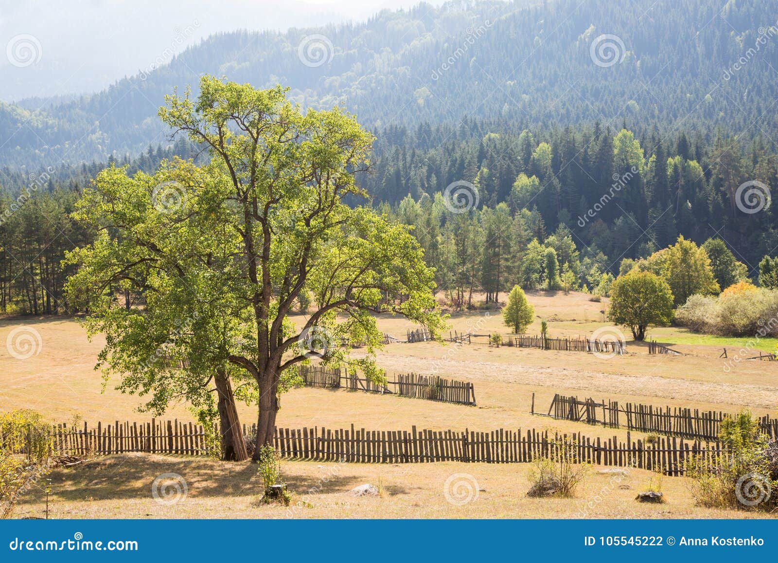 Beautiful Scenery on the Road through the Pass of Goderdzi Stock Photo ...